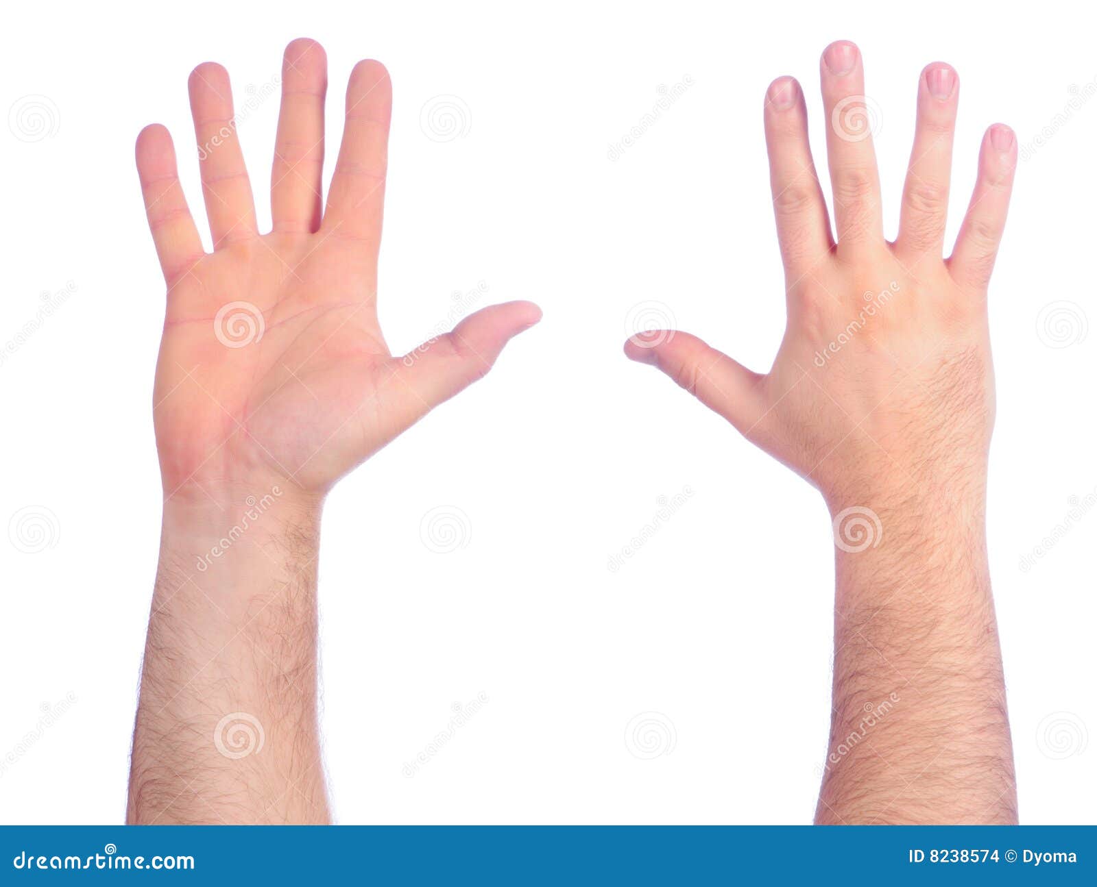 Het Mannelijke Handen Tellen Picture. Image: 8238574