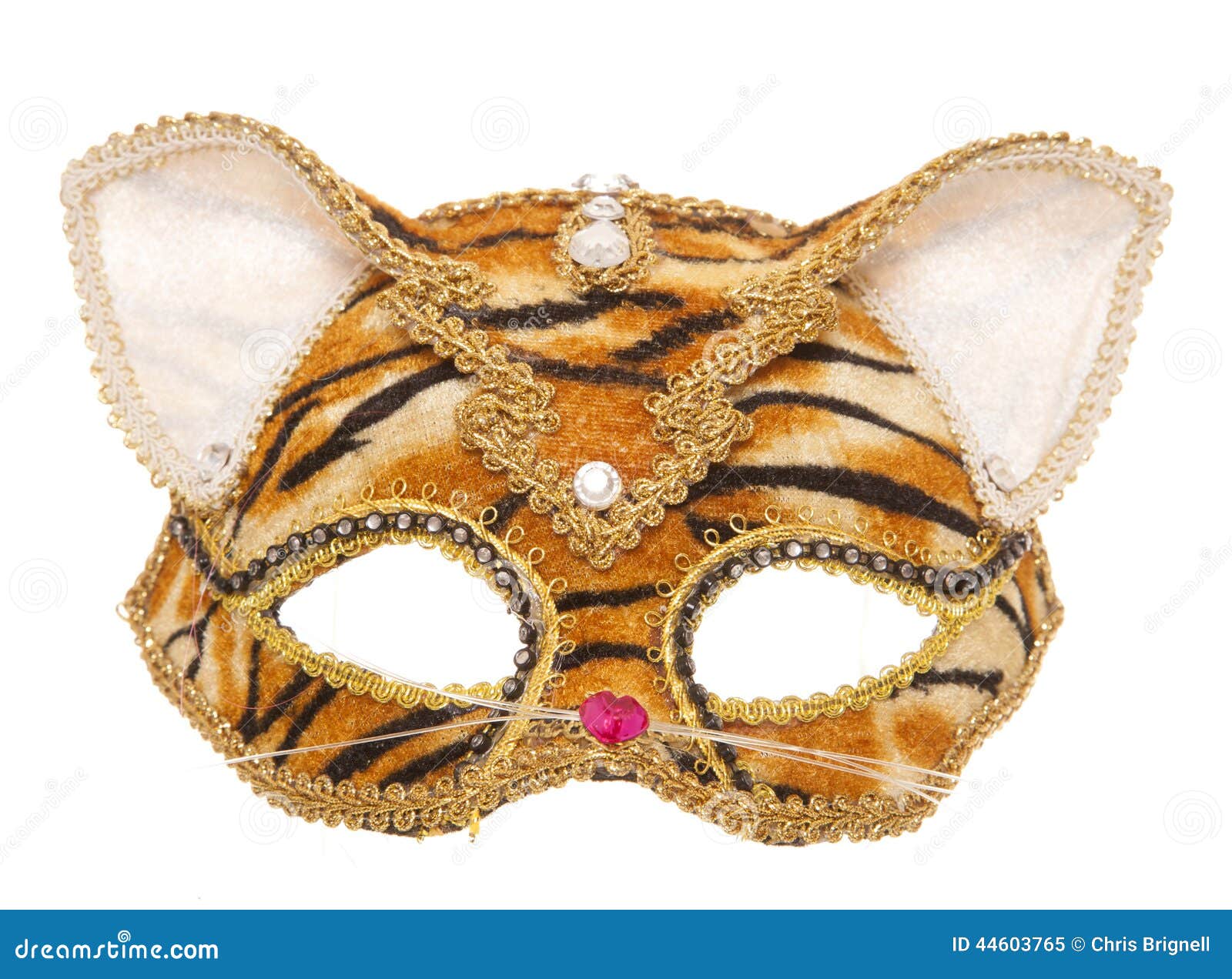 Het Masker Van De Tijgermaskerade Stock Afbeelding - Image of ...