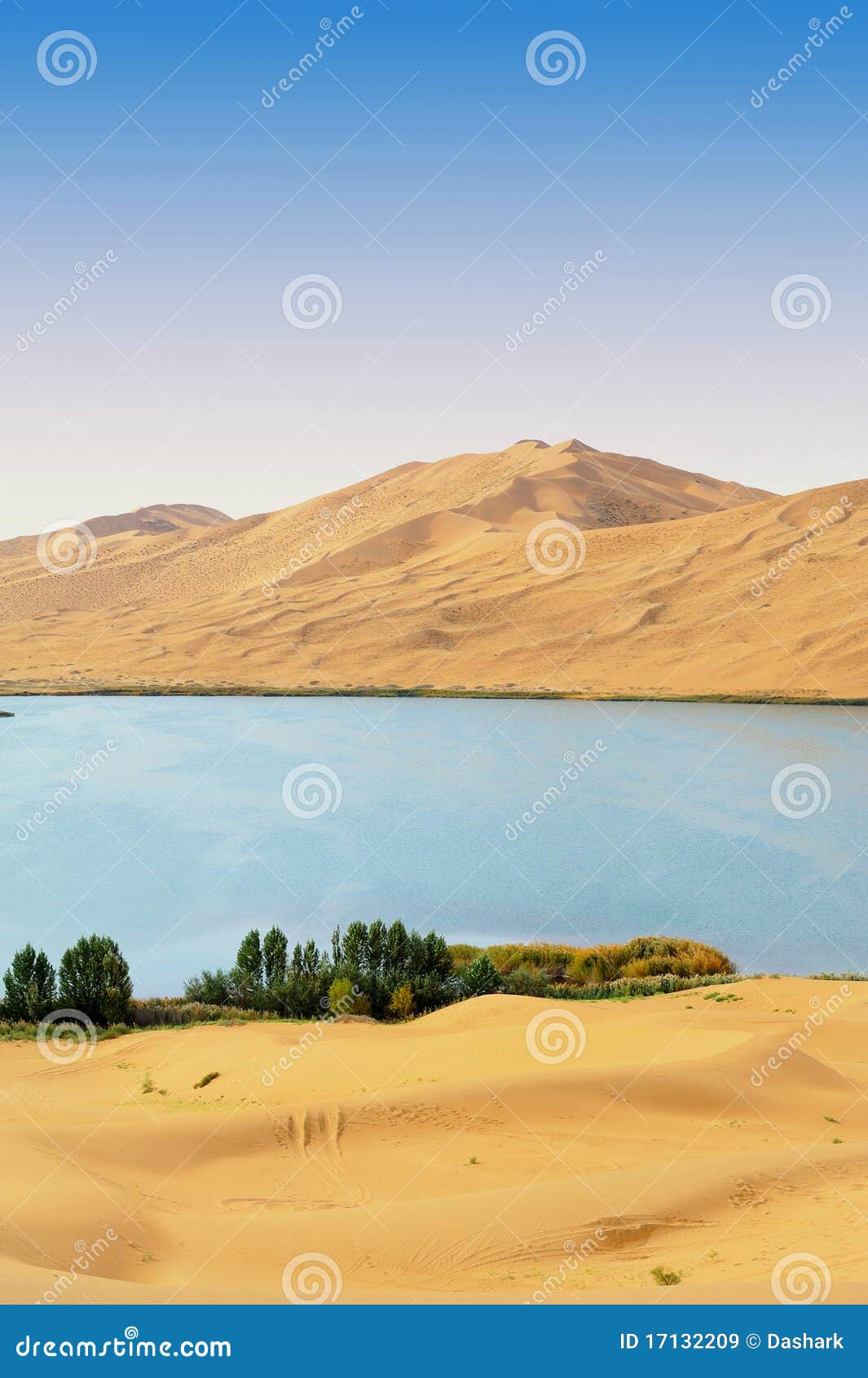 Het meer van de woestijn stock afbeelding. Image of meer - 17132209