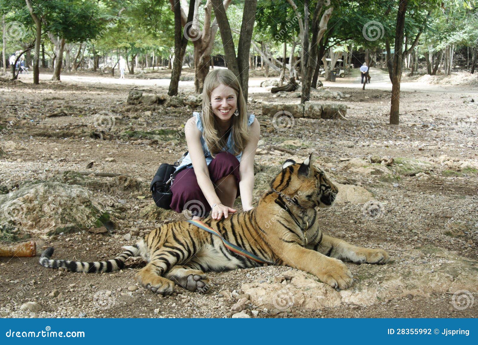 Het Meisje En De Tijger Van De Toerist Stock Foto - Image of bengalen ...