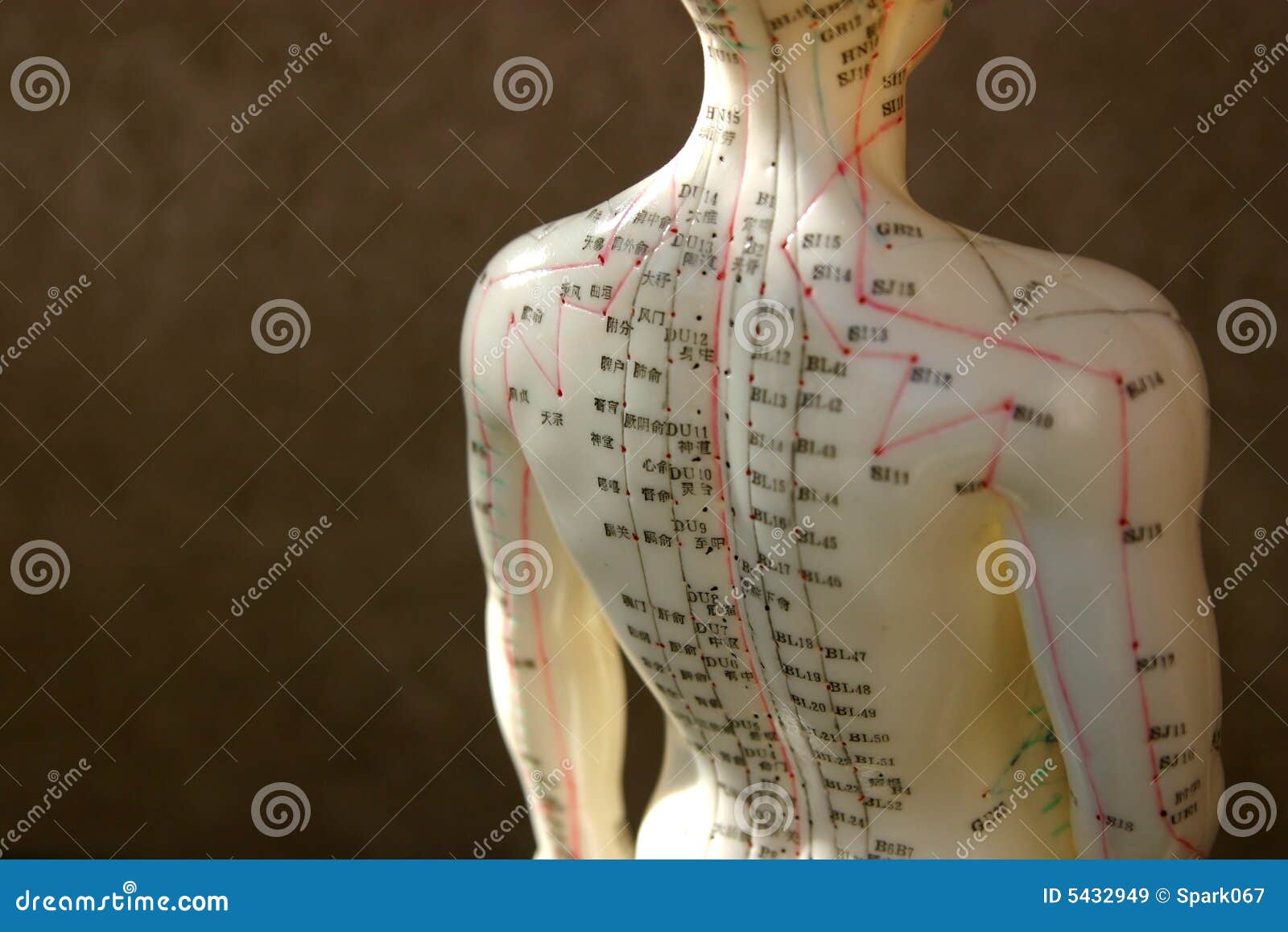 Het Model Van De Acupunctuur Stock Afbeelding - Image of achtergrond ...