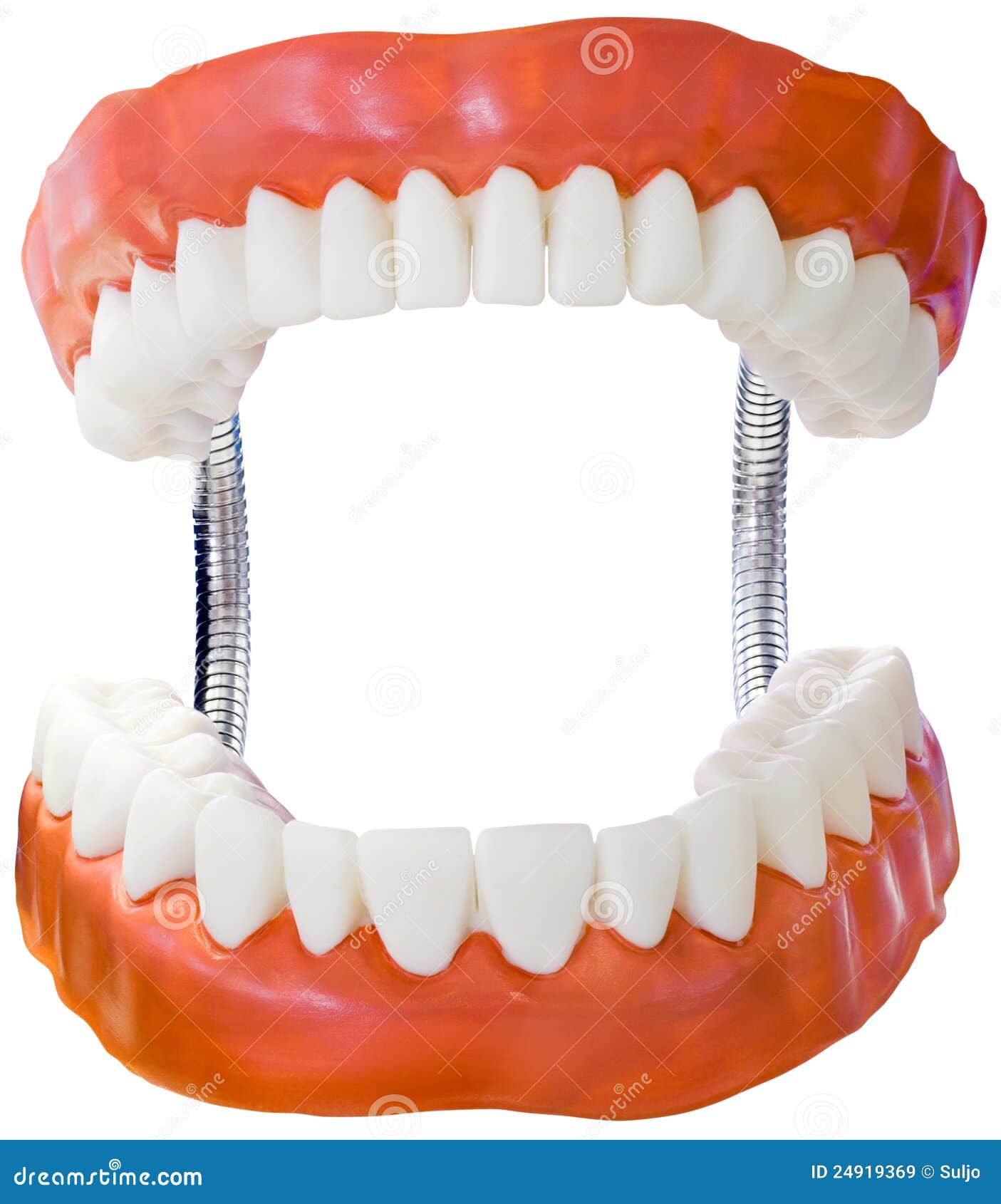 Het ModelKnipsel Van Het Gebit Stock Afbeelding - Image of mondeling ...