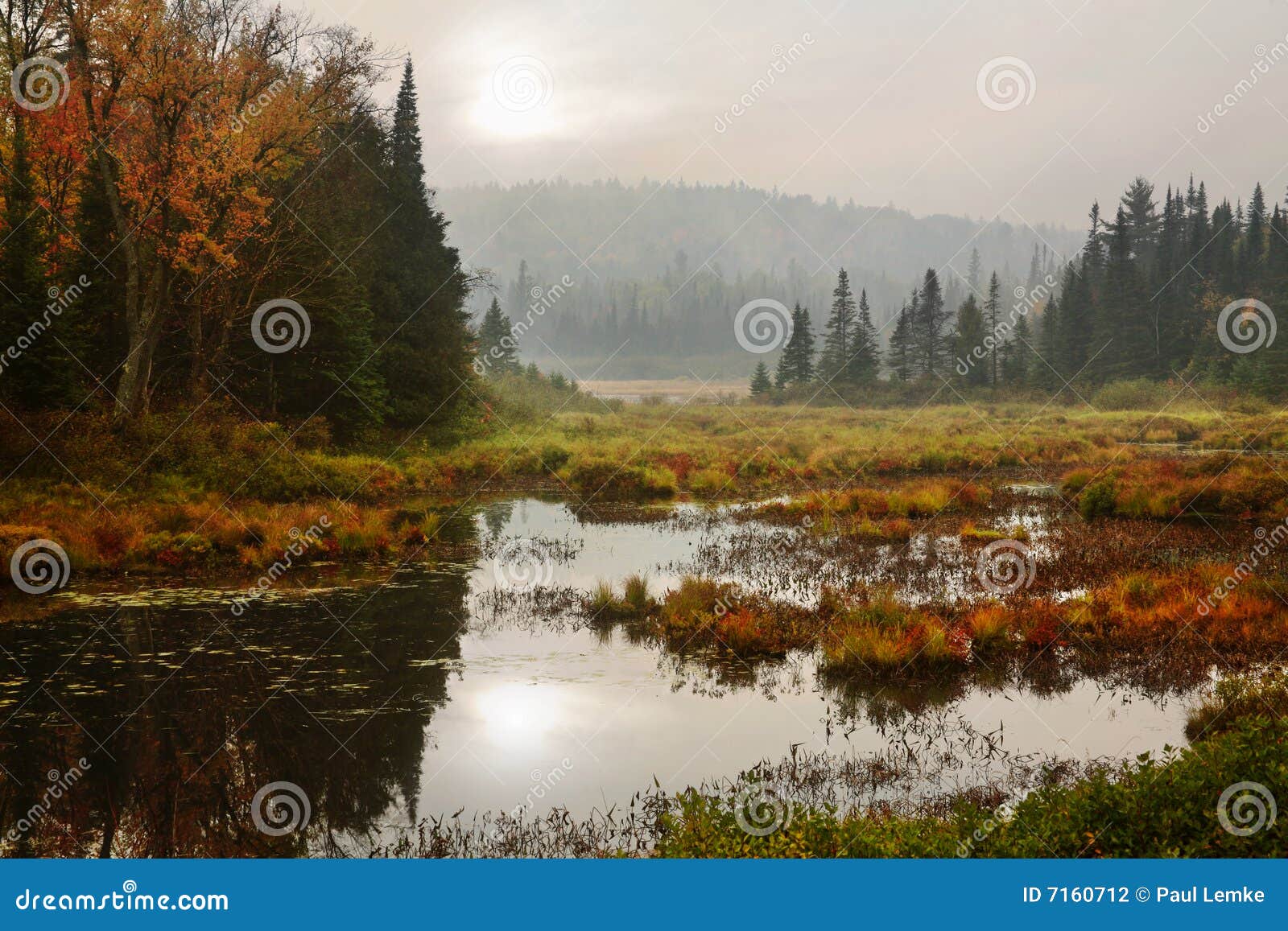 Het Moeras van Adirondack stock foto. Image of bergen - 7160712