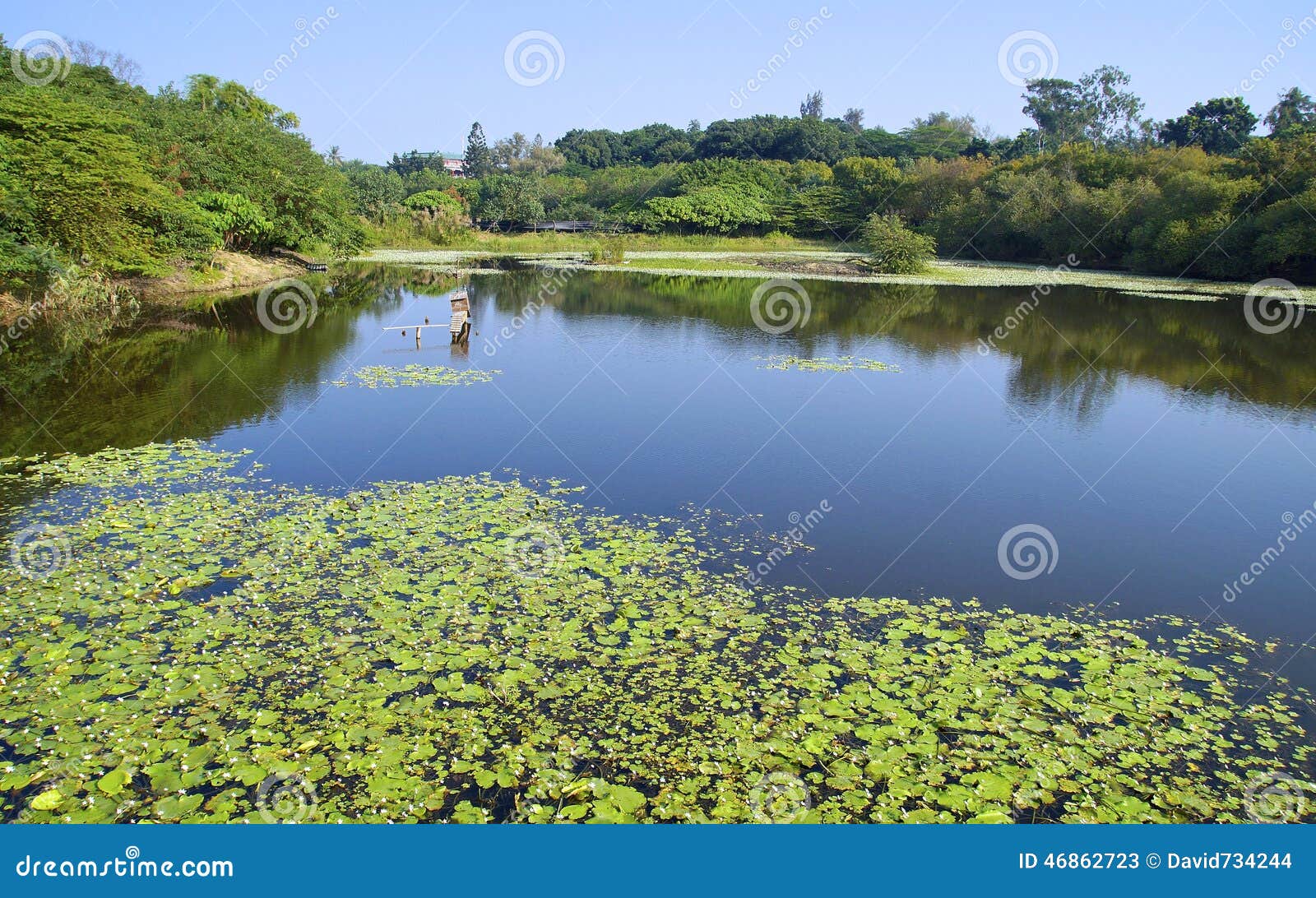 Het Moeras Van Het Moerasland Dichtbij Stad I Stock Afbeelding - Image ...