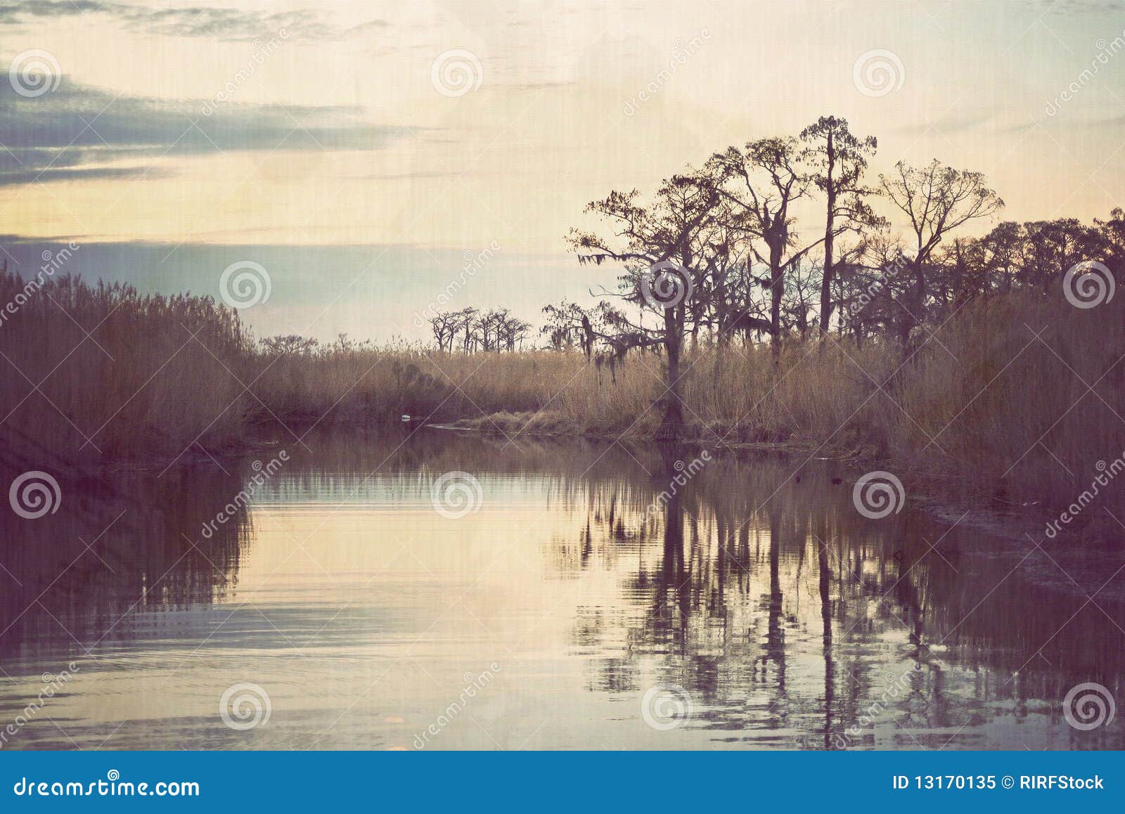 Het Moeras van Louisiane stock afbeelding. Image of afwezigheid - 13170135