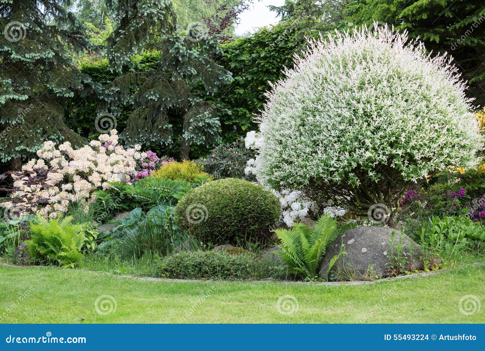 Het Mooie Ontwerp Van De De Lentetuin Met Rododendron Stock Foto ...