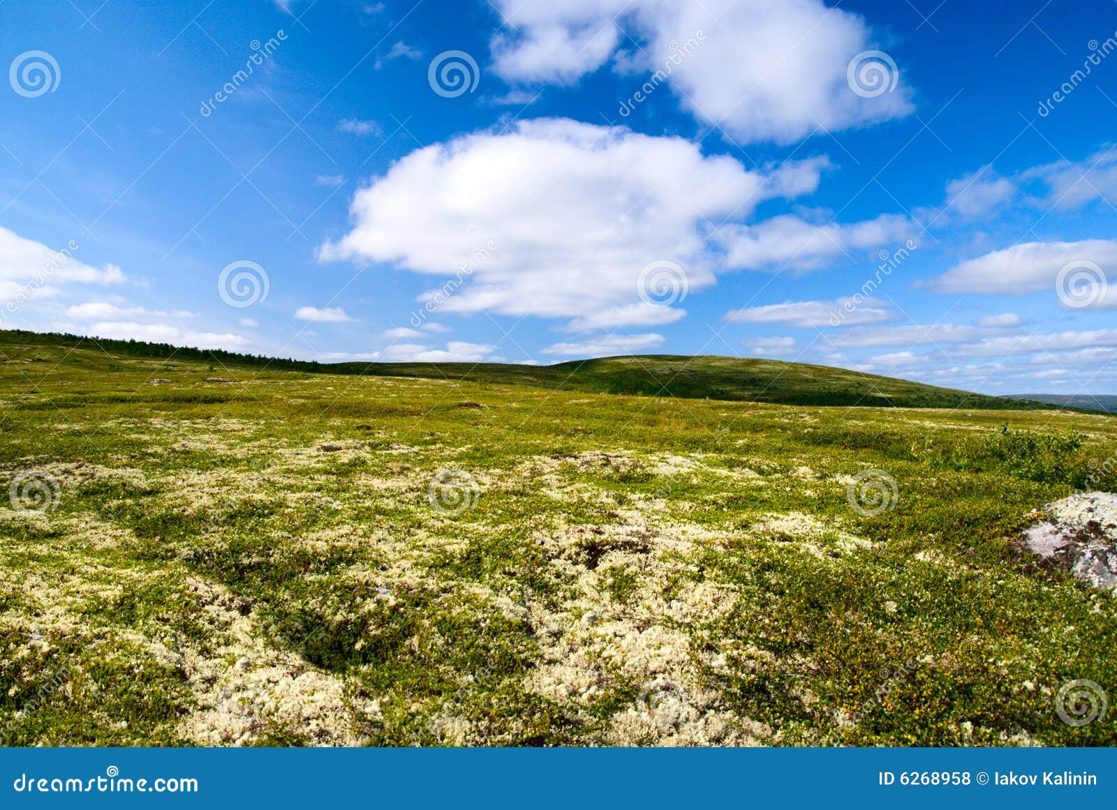 Het Noorden Van De Toendra Van Rusland Stock Foto - Image of taiga ...