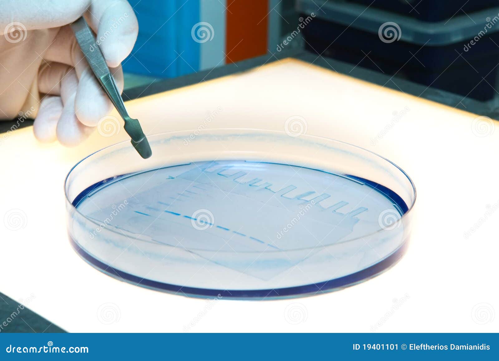 Het Onderzoek Van DNA Van Het Laboratorium Het Testen Stock Afbeelding ...