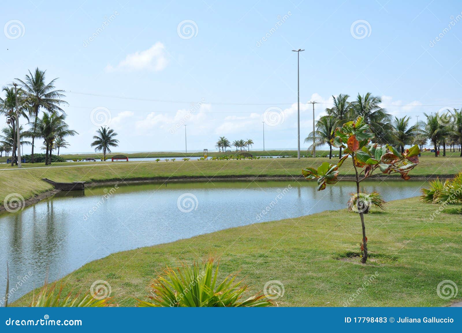 Het Openbare Park Van Aracaju Redactionele Stock Foto - Image of boom ...