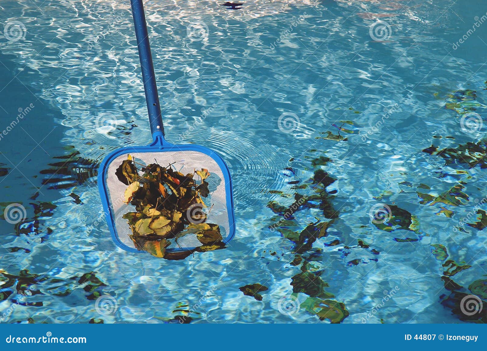 Het opscheppen verlaat stock afbeelding. Image of werk, schoon - 44807