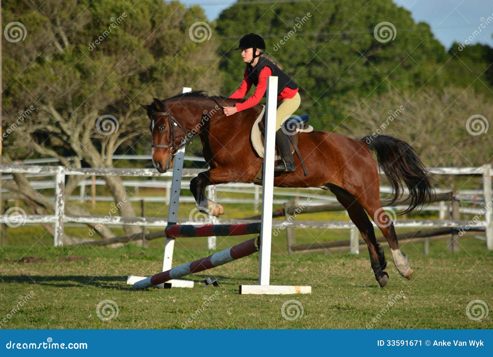 Het Paard En Het Meisje Tonen Het Springen Stock Afbeelding - Image of ...