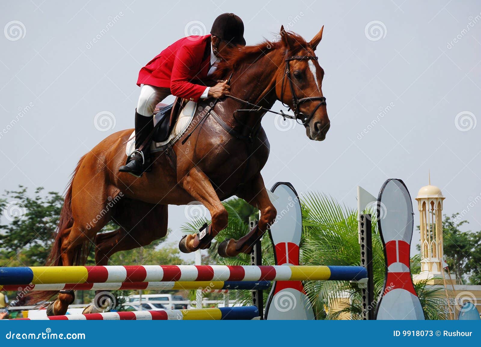 Het Paard Toont Het Springen Redactionele Stock Foto - Image of ...