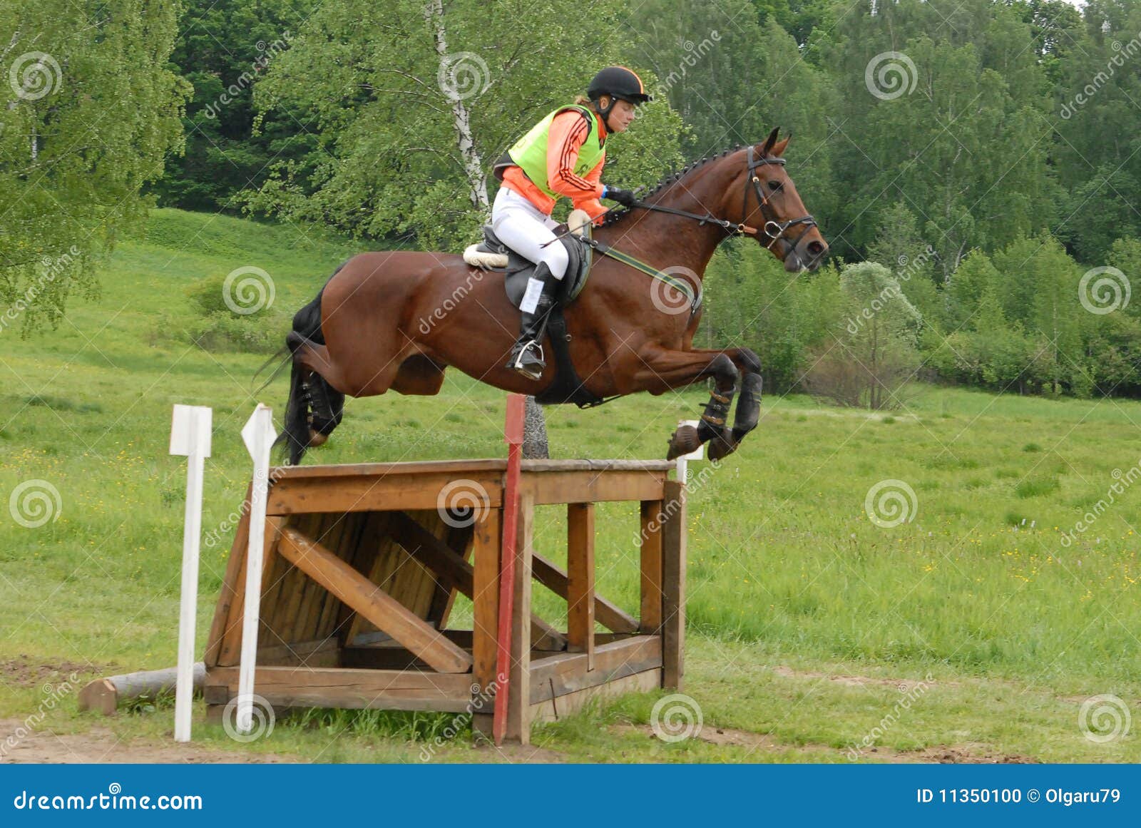 Het Paard Van De Kastanje Het Springen Redactionele Afbeelding - Image ...