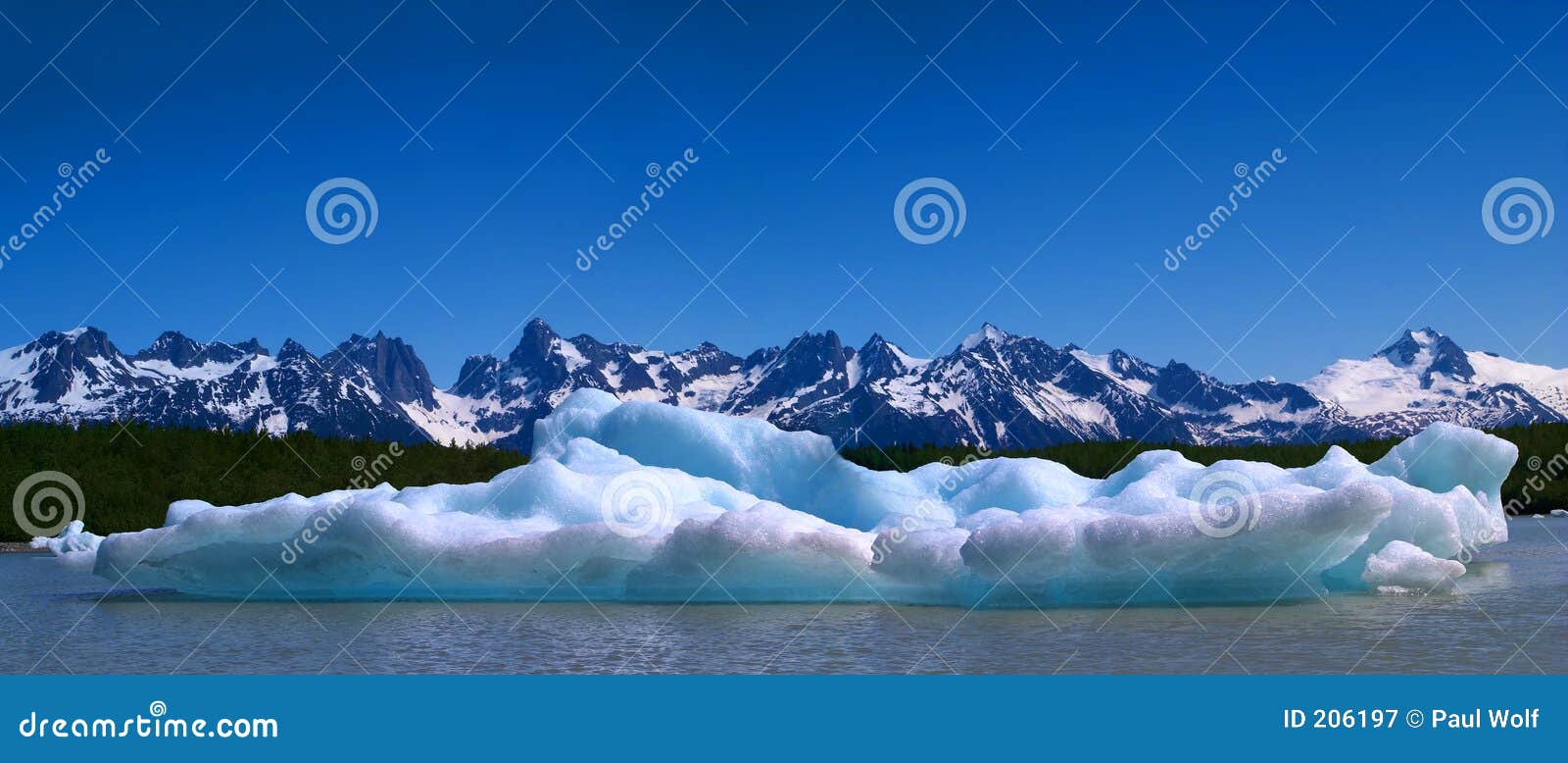 Het Panorama Van De Ijsschots Stock Afbeelding - Image of zwevend ...