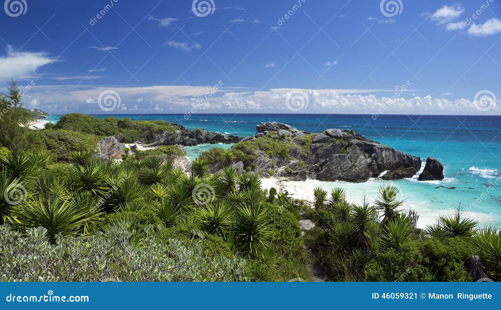 Het Park Van De Zuidenkust - Warwick Parish, De Bermudas Stock ...