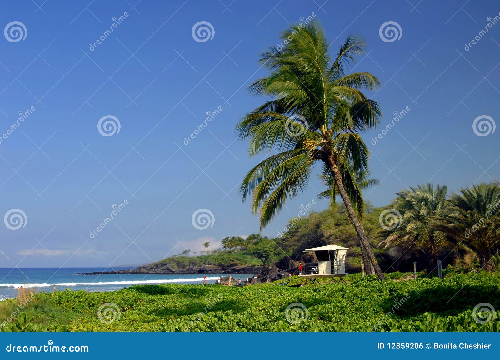 Het Park Van Het Strand Op Groot Eiland Stock Foto - Image of wacht ...