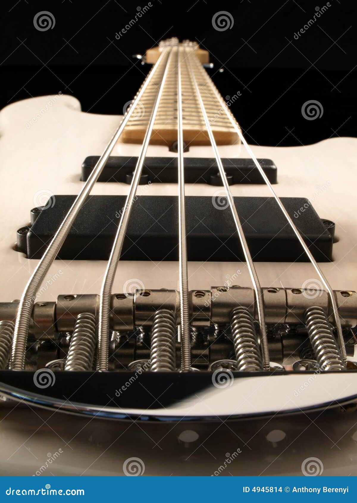 Bass Guitar Neck Perspective Picture. Image: 4945814