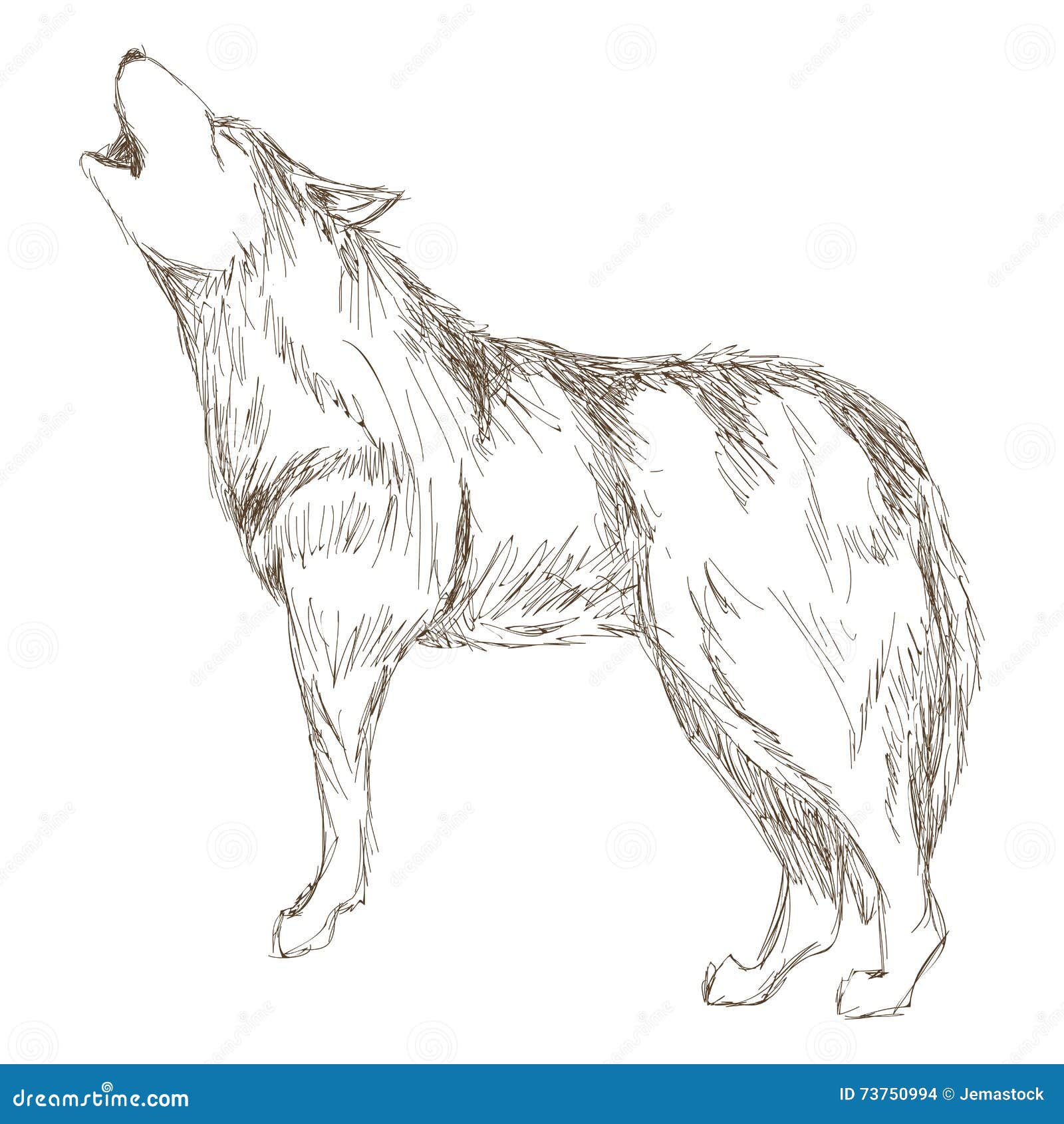 Het Pictogram Van De Wolfs Sideview Schets Stock Illustratie ...