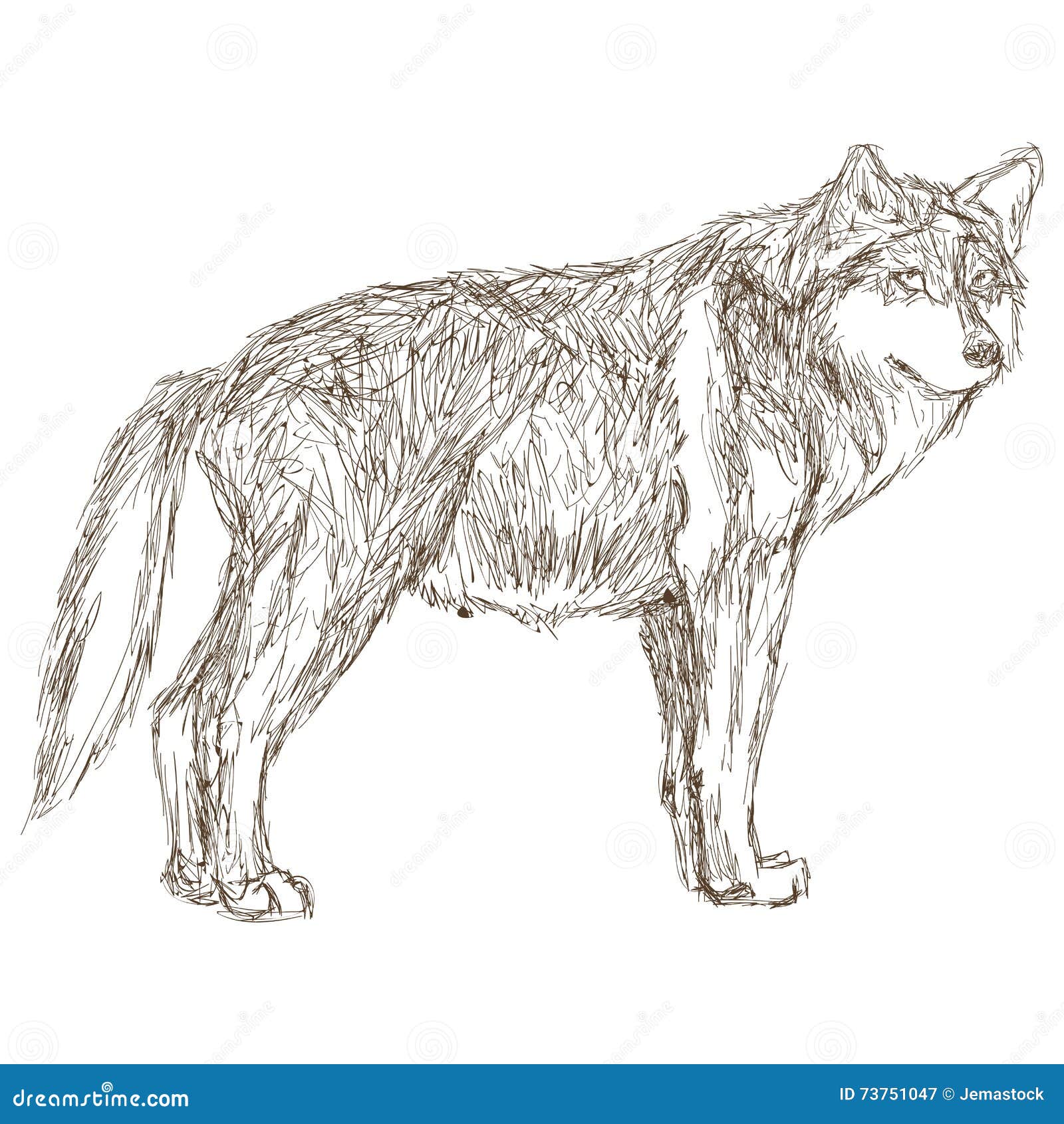Het Pictogram Van De Wolfs Sideview Schets Stock Illustratie ...