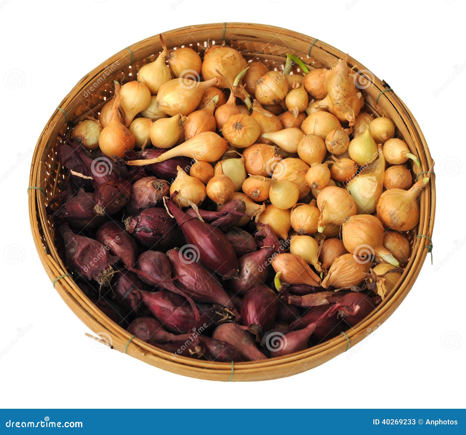 Het planten van ui stock afbeelding. Image of mand, organisch - 40269233
