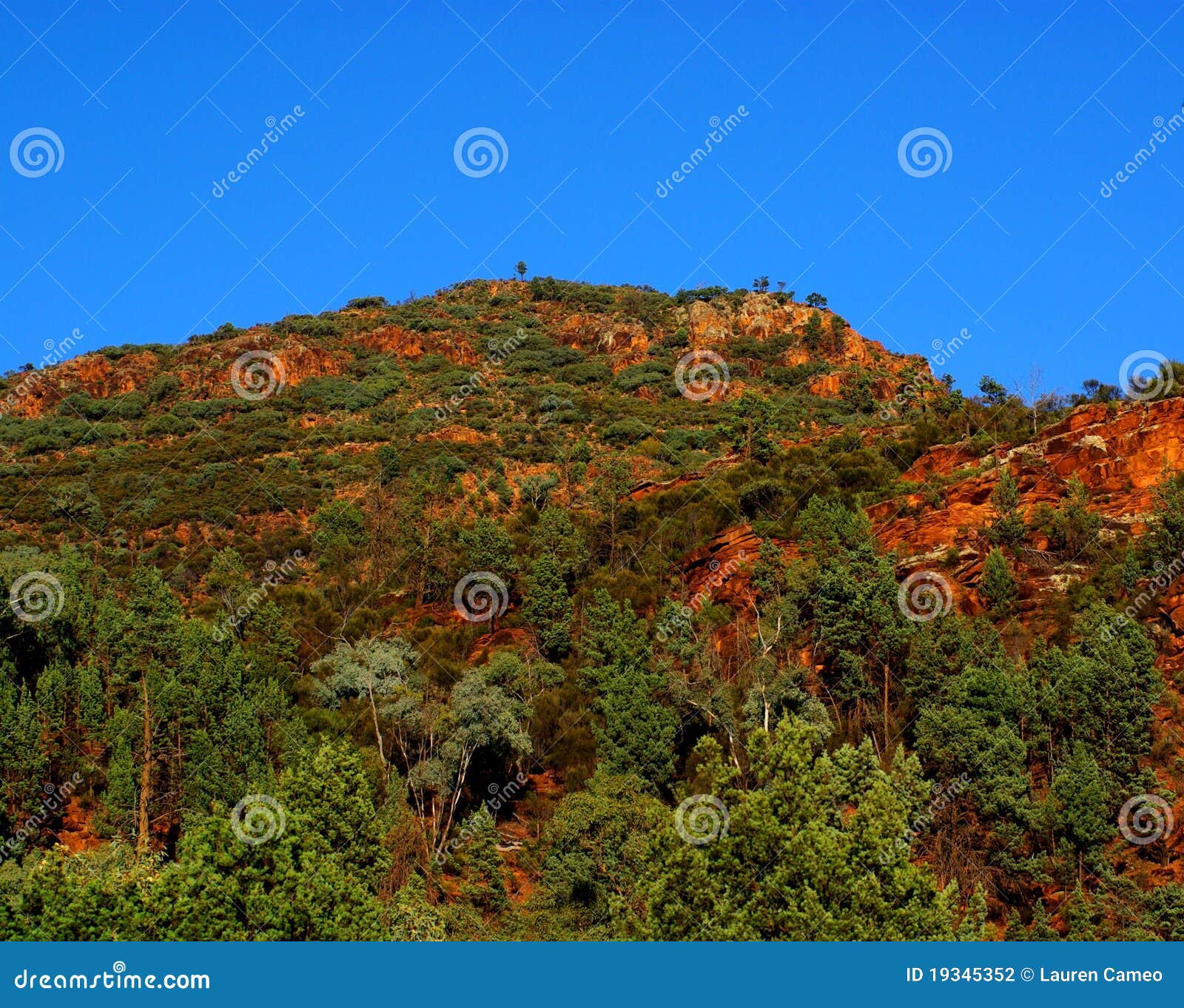 Het Pond Van Wilpena, Waaiers Flinders Stock Foto - Image of pictogram ... Het Pond Van Wilpena, Waaiers Flinders Stock Foto - Image of pictogram ...