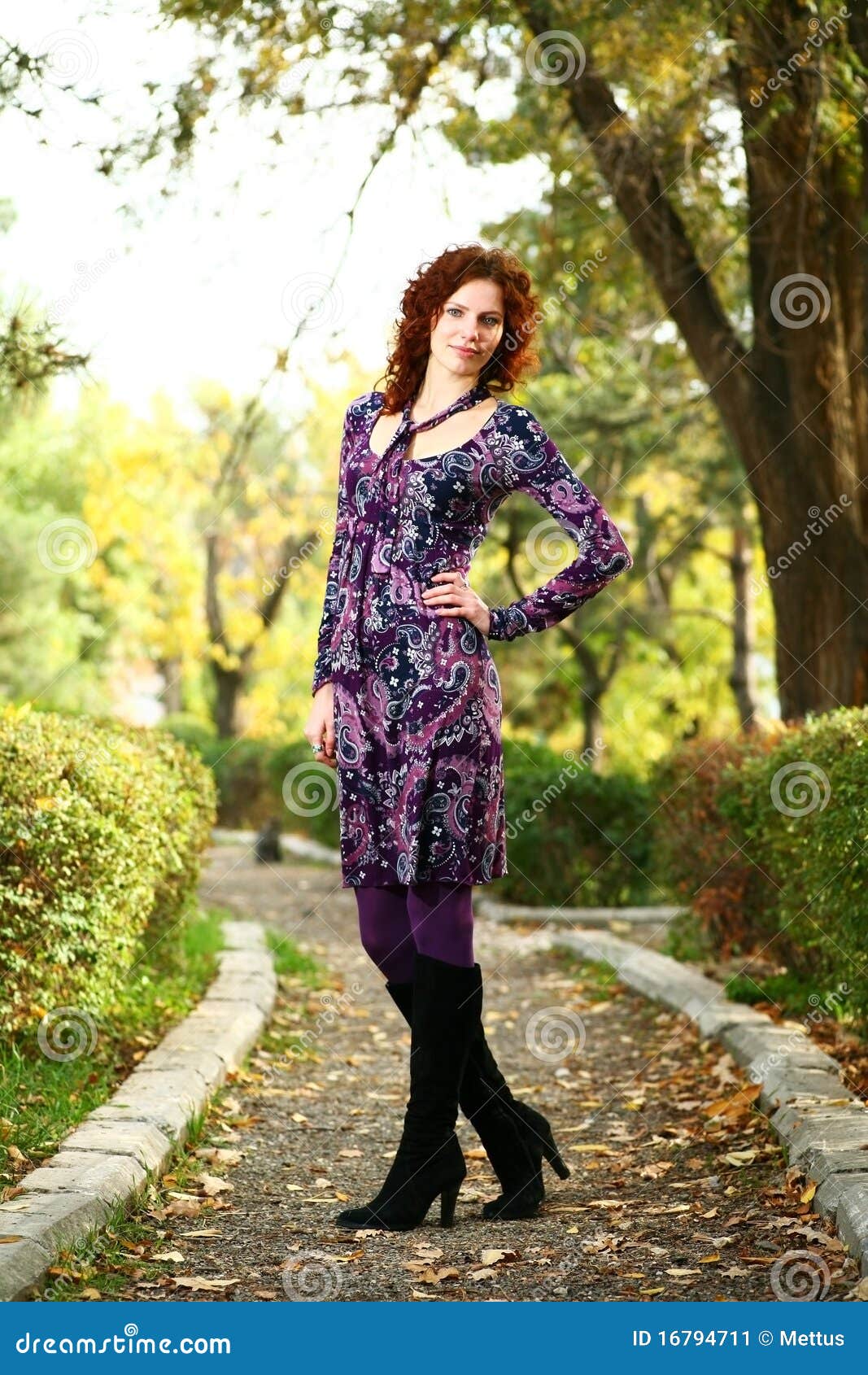 Het Portret Van De Herfst Van Een Meisje Stock Afbeelding Image Of