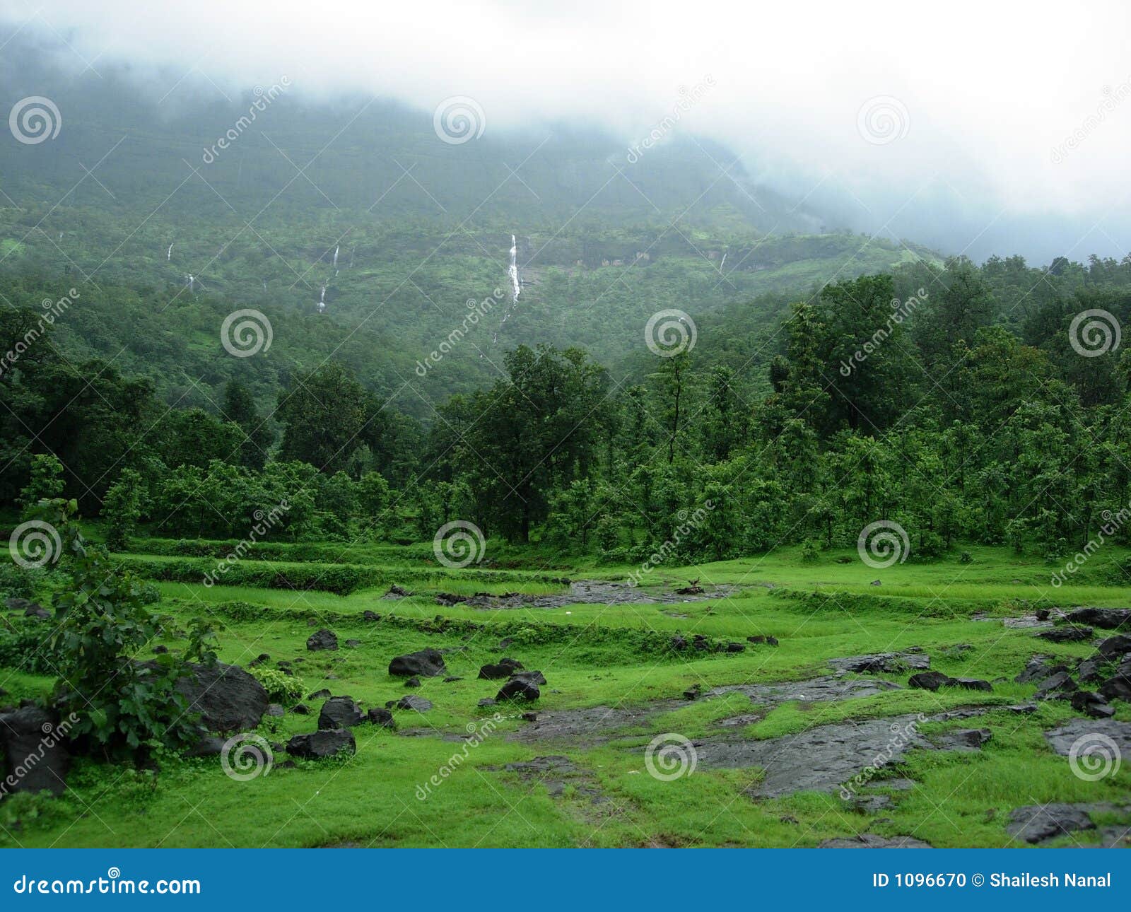 Het Prettige Landschap Van De Moesson Stock Foto - Image of tropisch ...