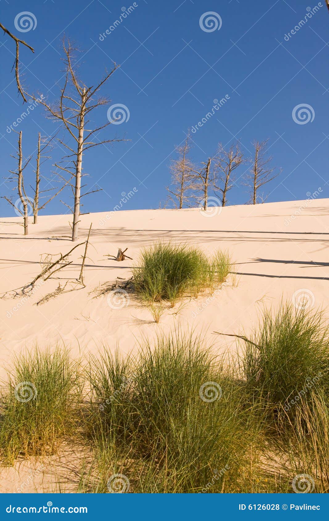 Het Proces Van De Ontvolking Stock Foto - Image of hitte, globaal: 6126028