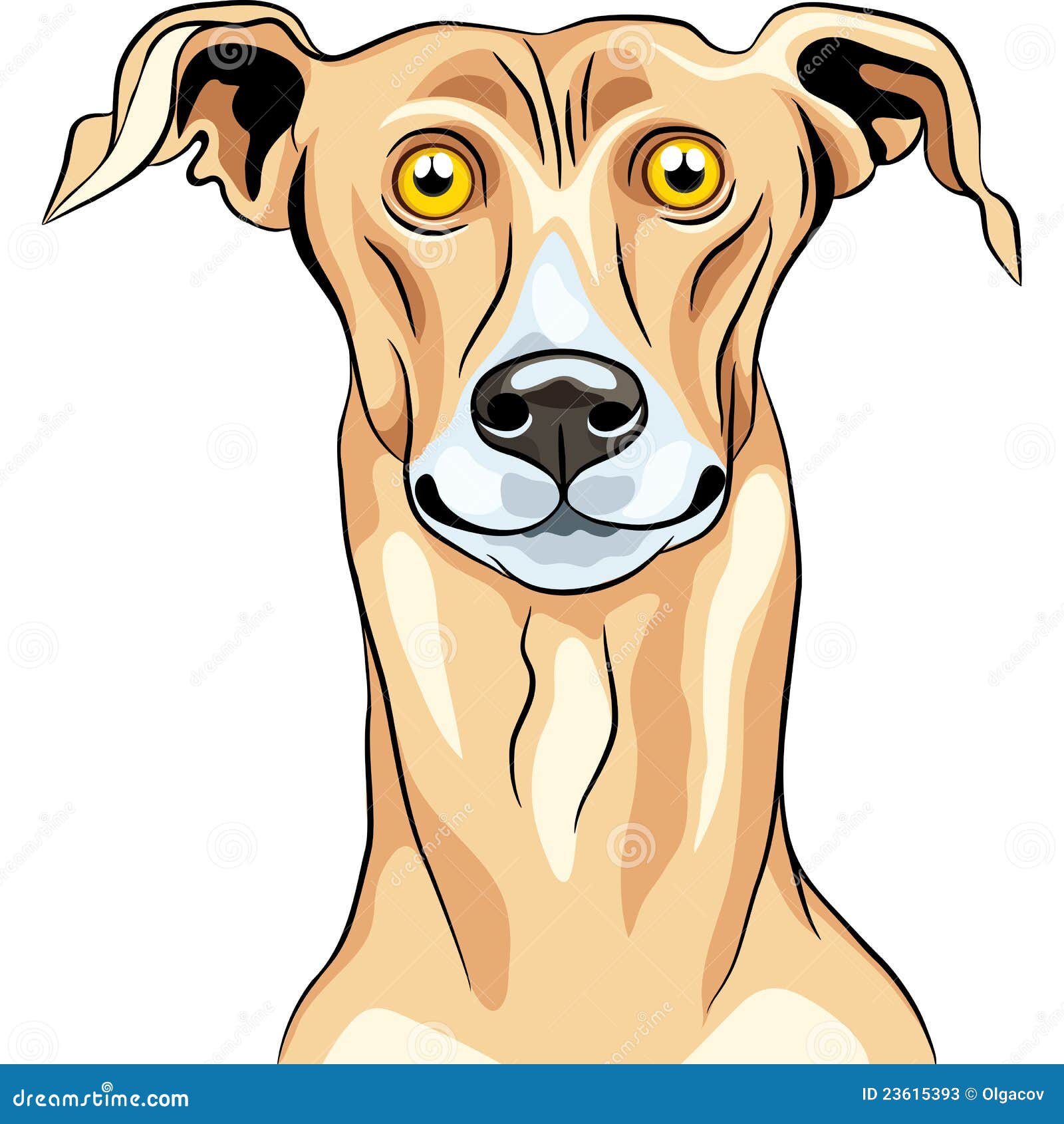 Het Rassenglimlach Van De Hond Van De Windhond Vector Illustratie ...