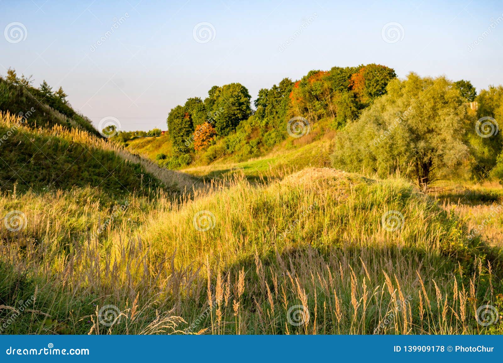Het Ravijn in De Vroege Herfst Stock Foto - Image of licht, rusland ...