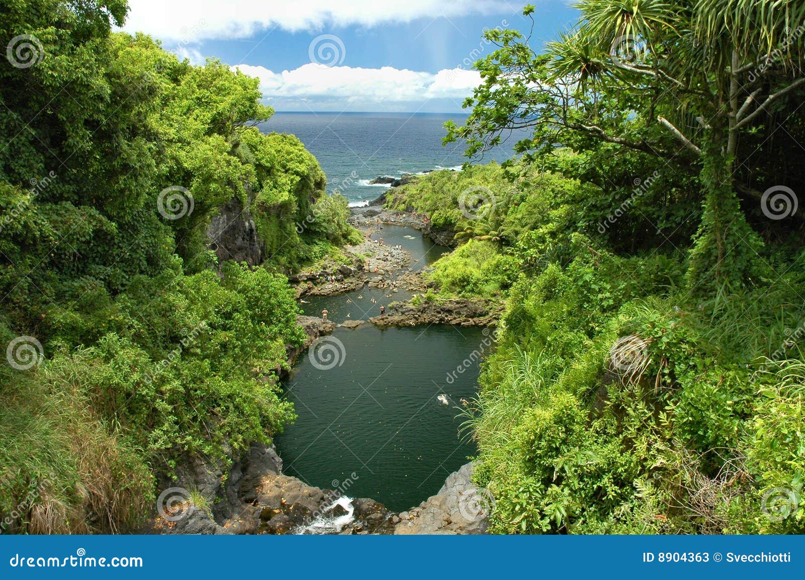 Het Ravijn van Oheo, Maui stock afbeelding. Image of zeven - 8904363