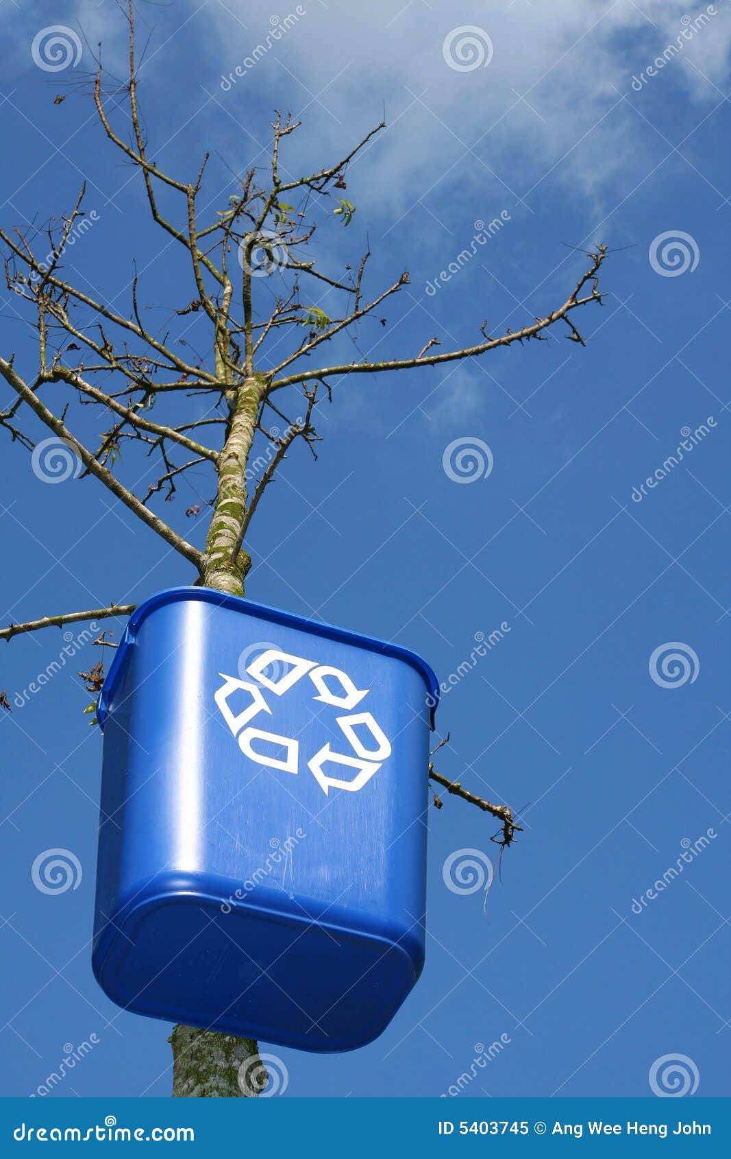 Het Recycling Van Bak Op Boom Stock Afbeelding - Image of bomen, sparen ...