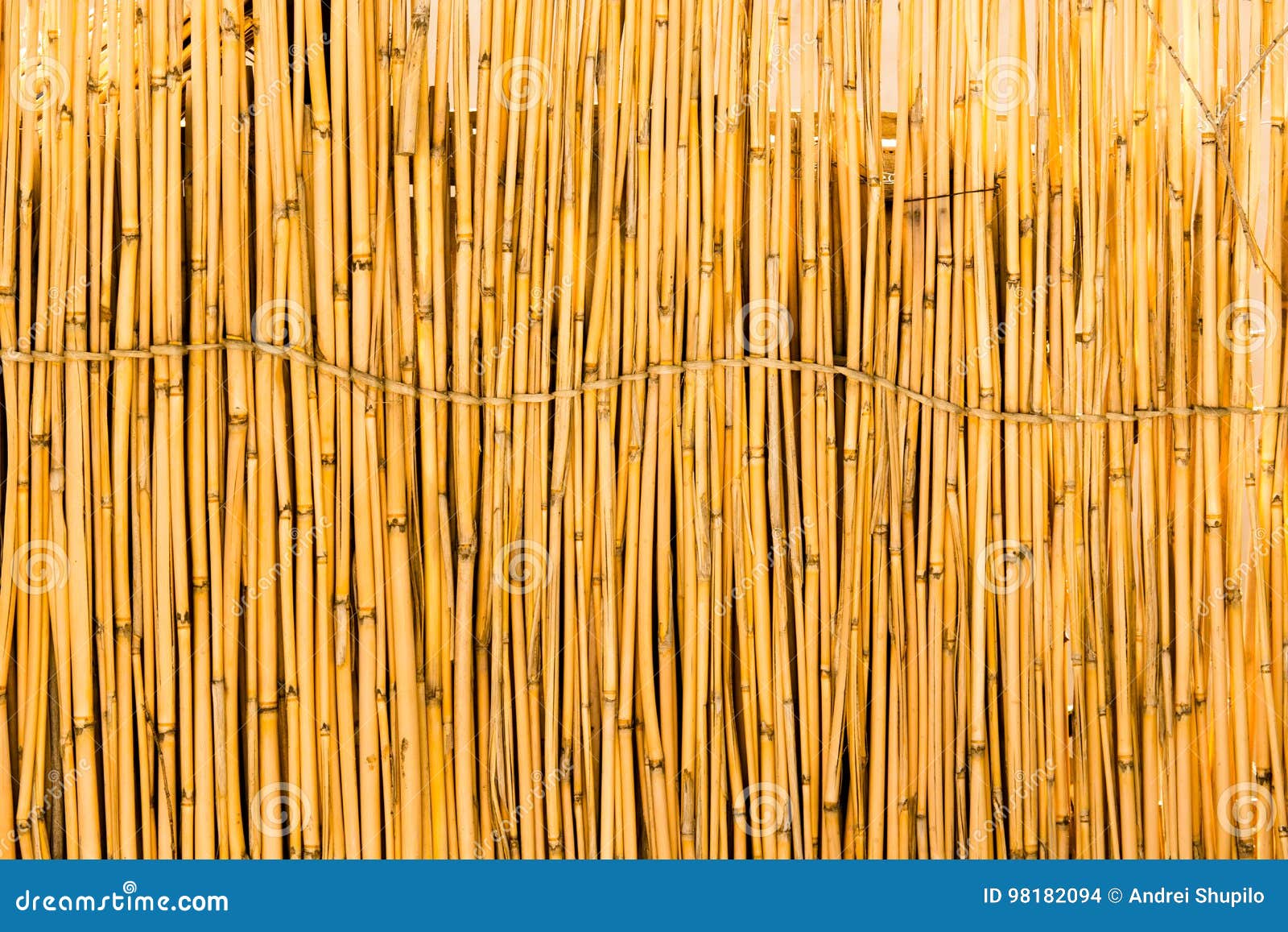 Het Riet Bond Een Omheining Als Achtergrond Vast Stock Foto - Image of ...