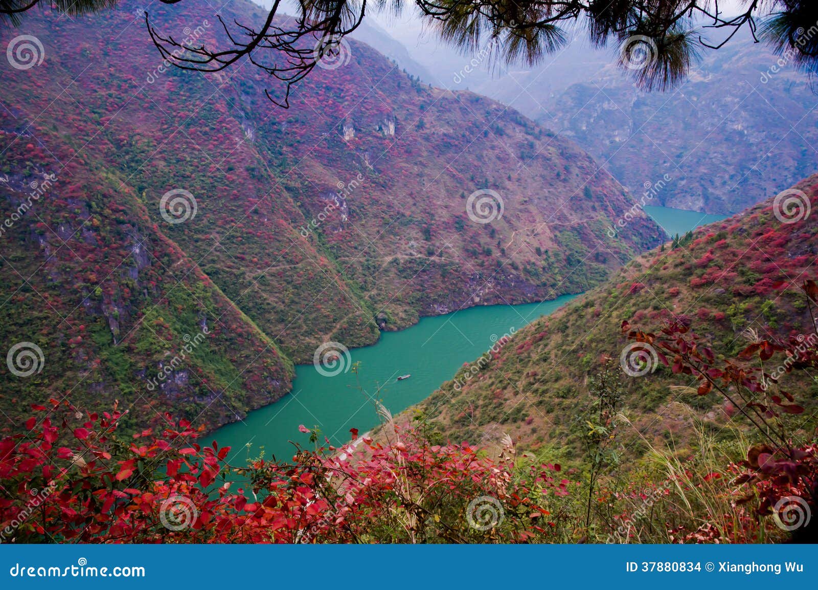 Het Rode Blad in De Drie Kloven Bij Yangtze-rivier Stock Foto - Image ...