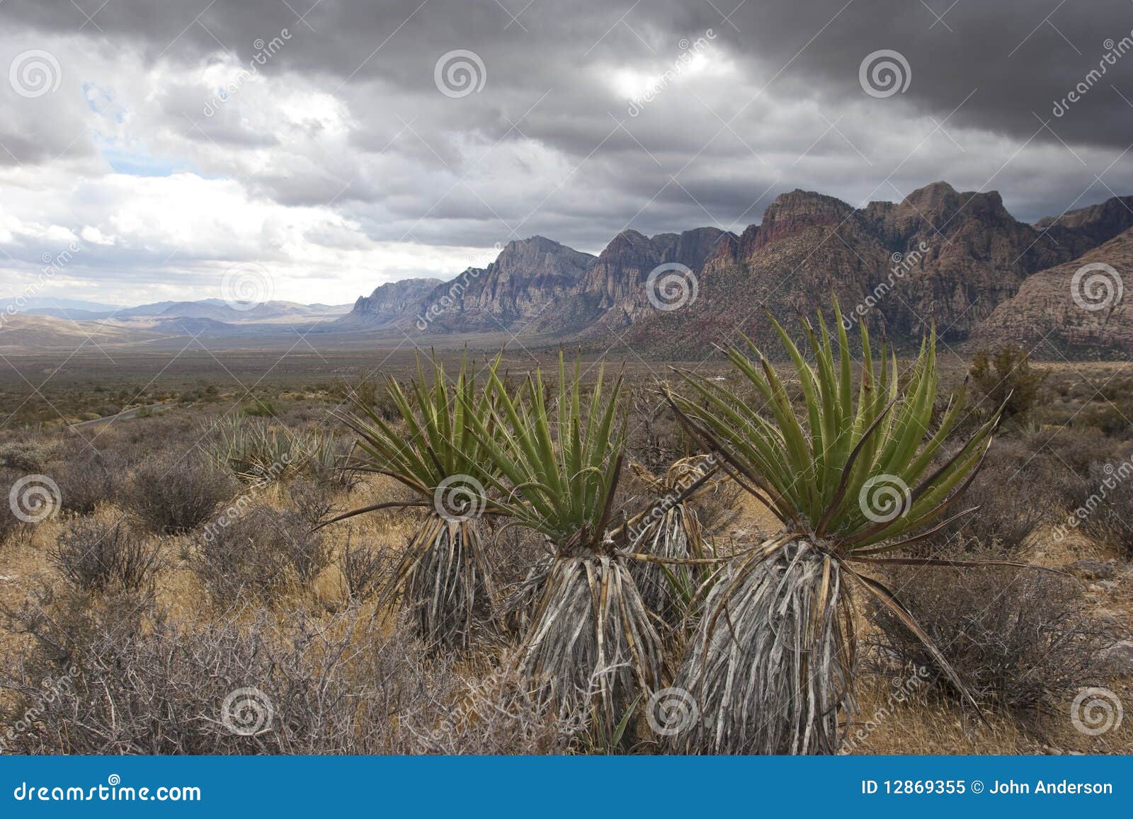 Het Rode Park Van De Staat Van De Rots Stock Afbeelding - Image of ...