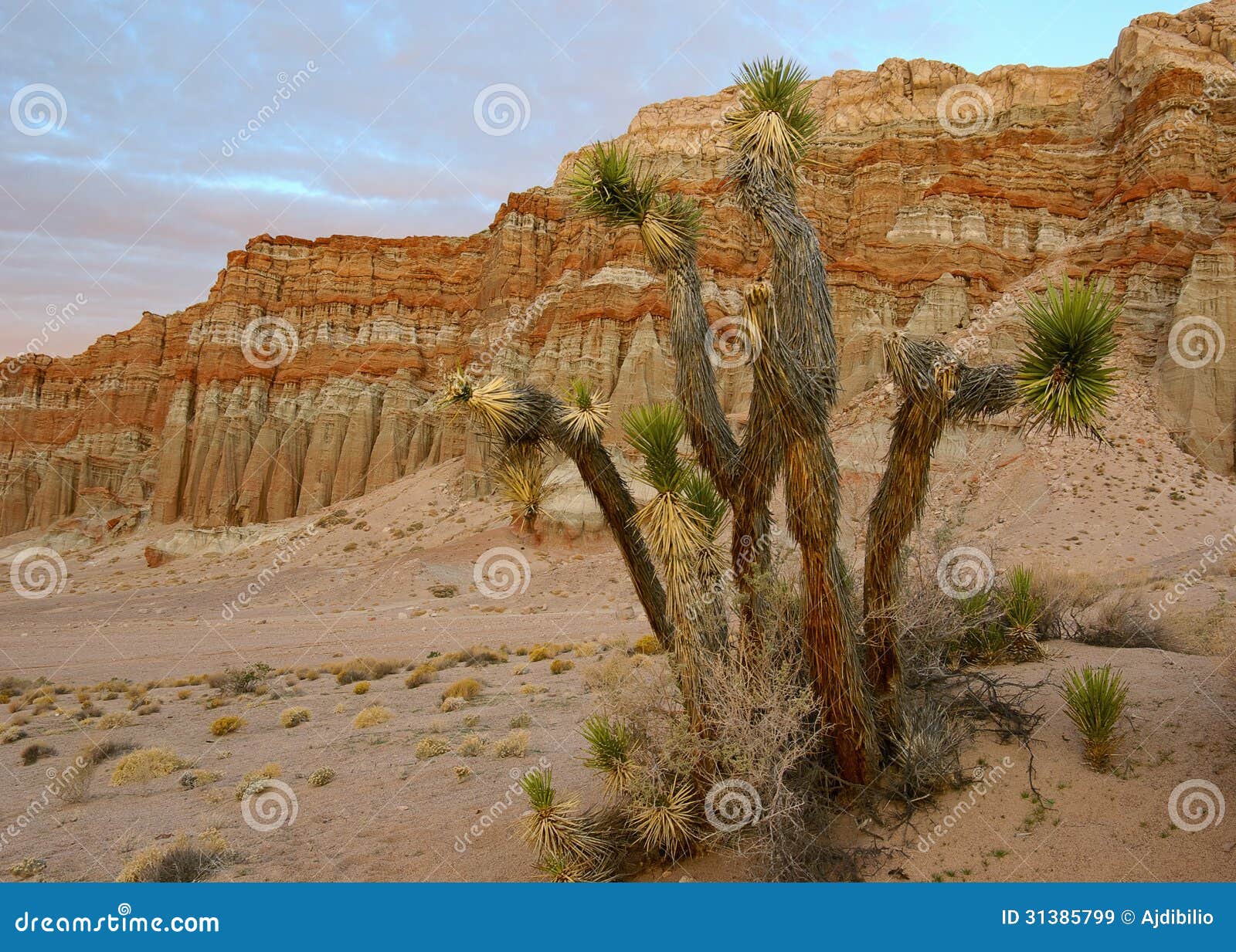 Het Rode Park Van De Staat Van De Rotscanion Stock Afbeelding - Image ...