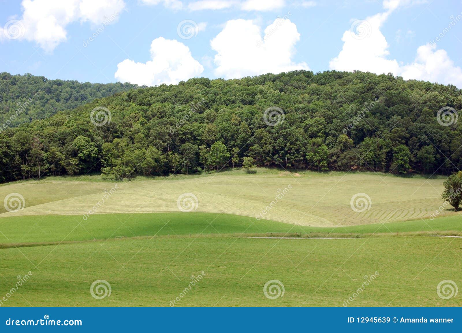 Het Rolling Landschap Van Het Land Stock Afbeelding - Image of boom ...