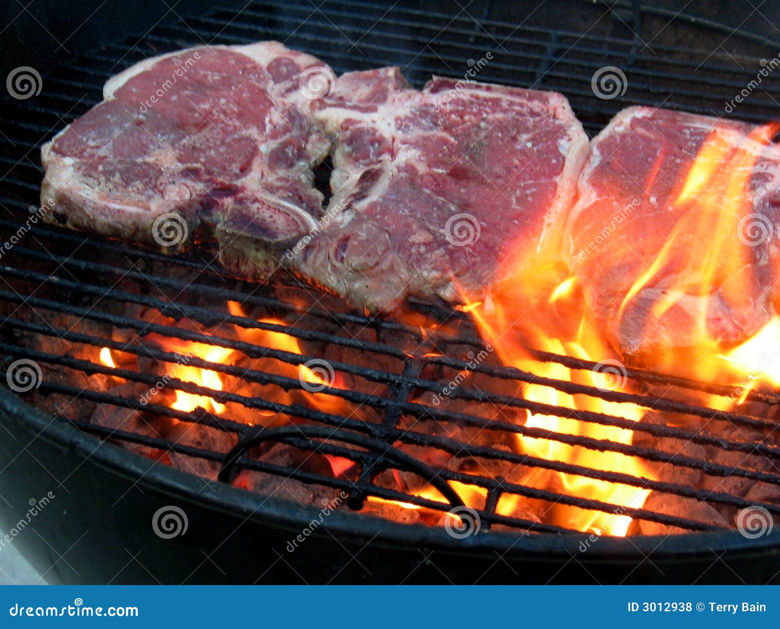 Het Roosteren Van Rib Met Brand Stock Foto - Image of been, rups: 3012938