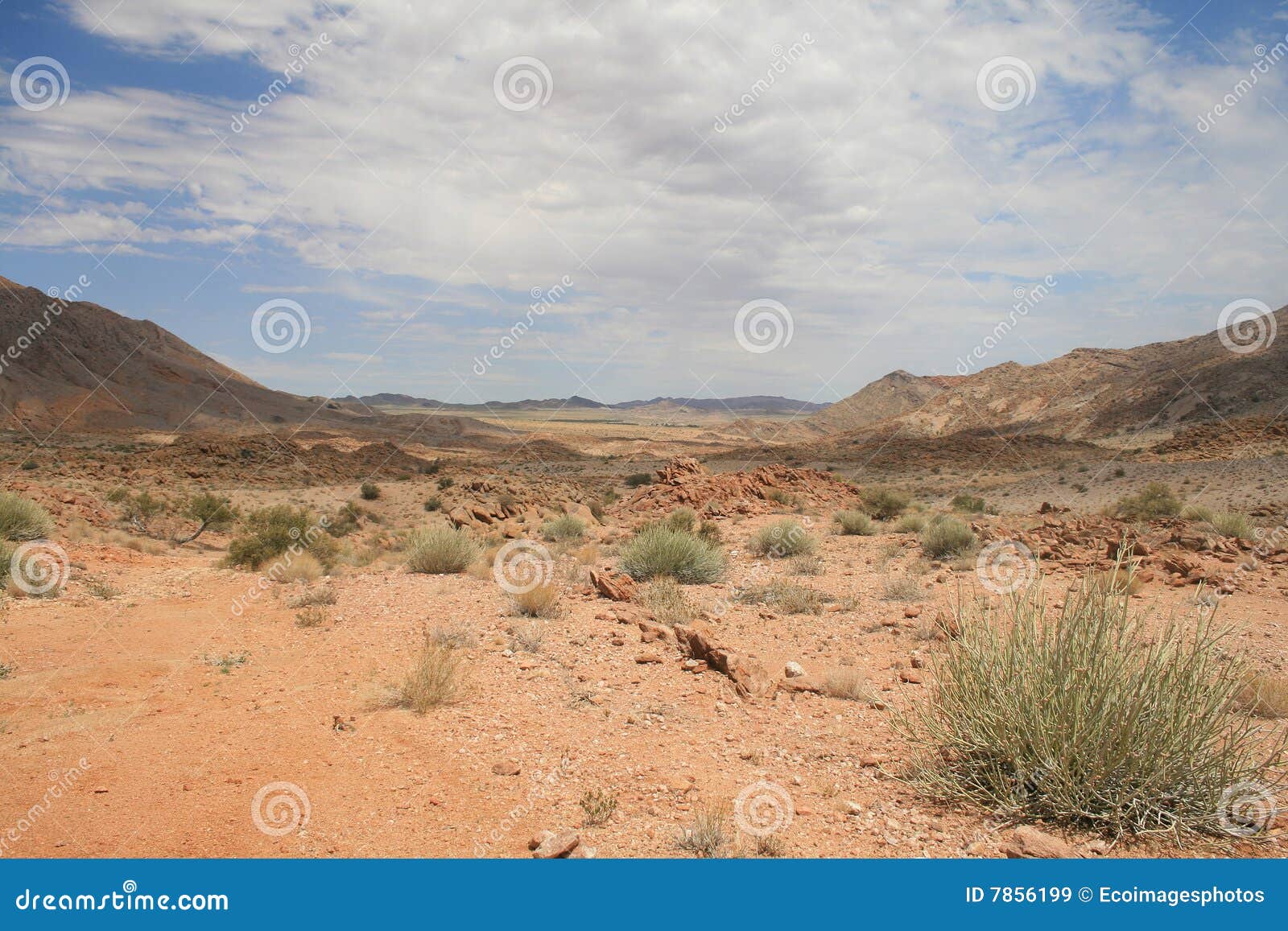 Het Rotsachtige Landschap Van De Woestijn Stock Afbeelding - Image of ...