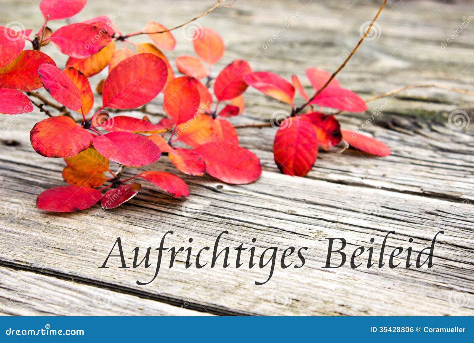 Het rouwen kaart stock foto. Image of duits, deelneming - 35428806