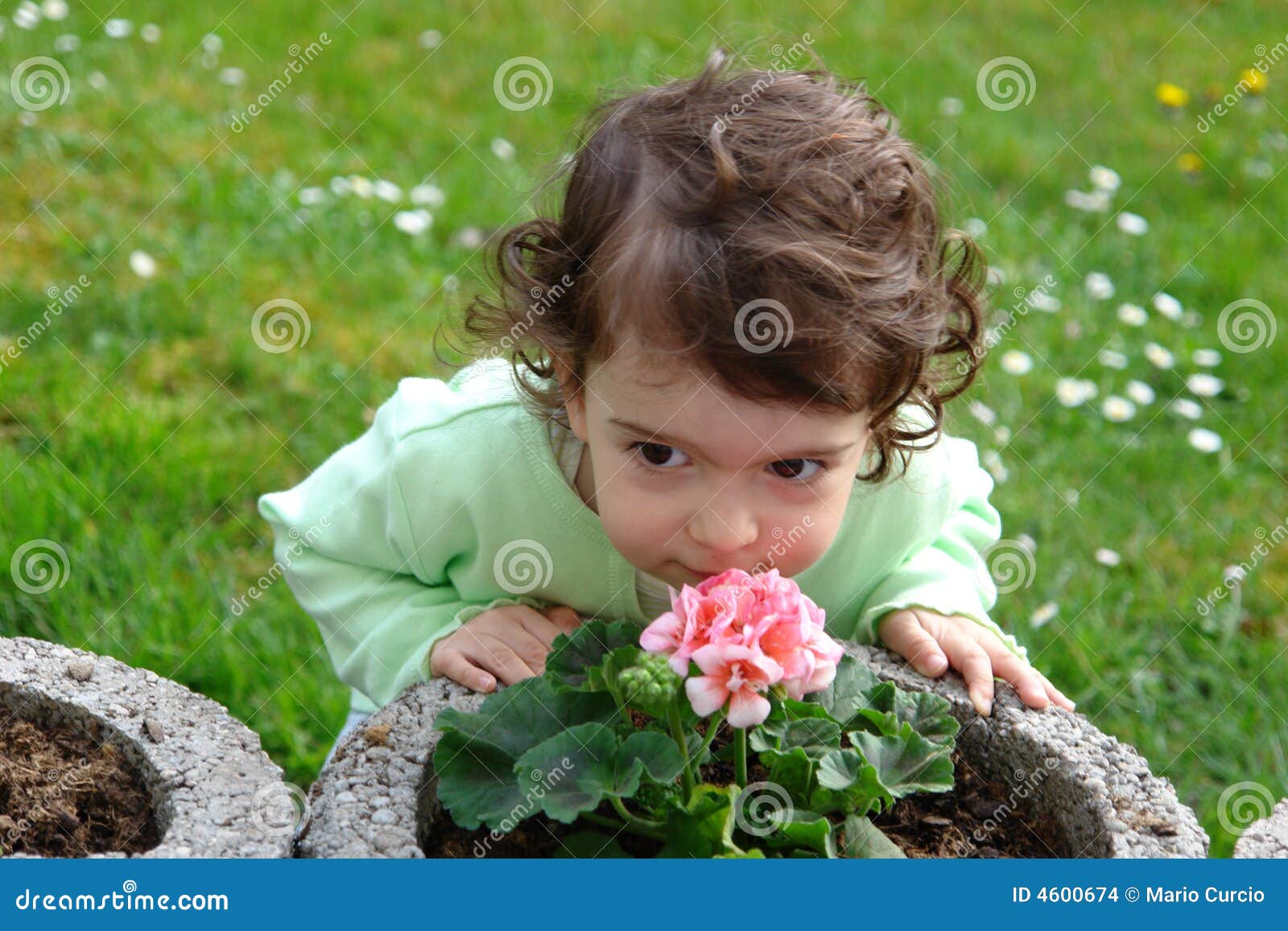 Het ruiken stock foto. Image of spontaneïteit, geur, spontaan - 4600674