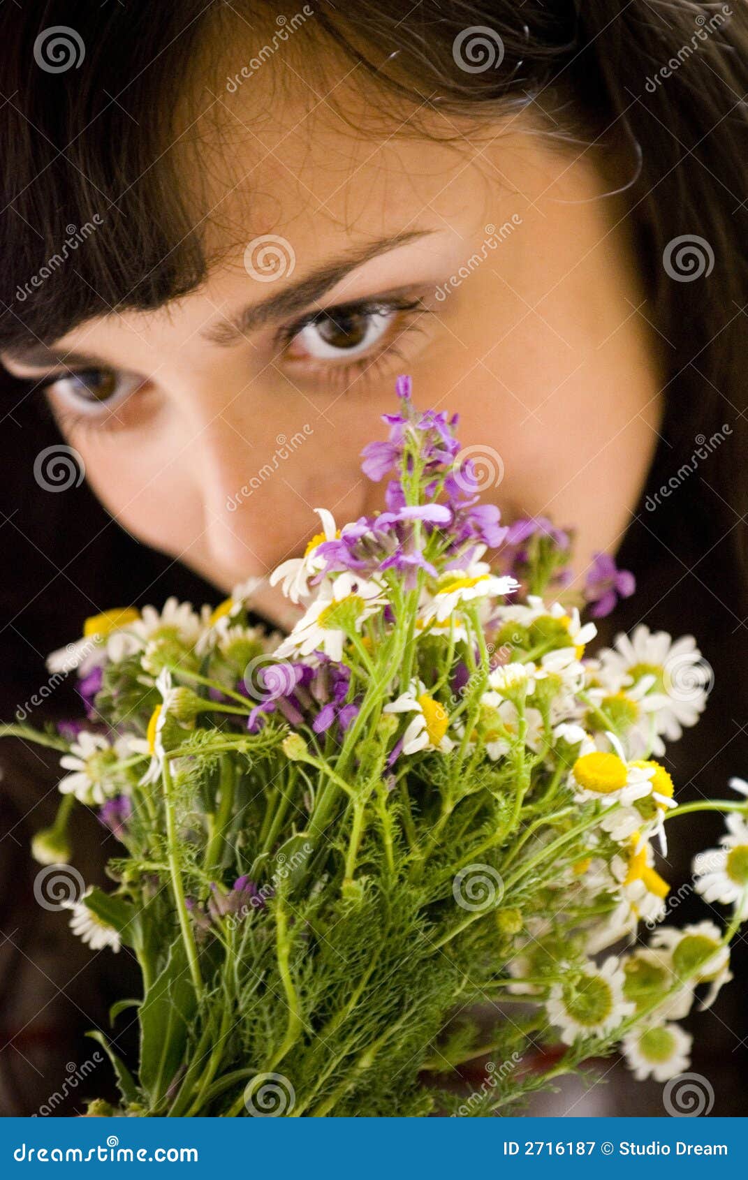 Het ruiken van de bloemen stock afbeelding. Image of snuffelen - 2716187