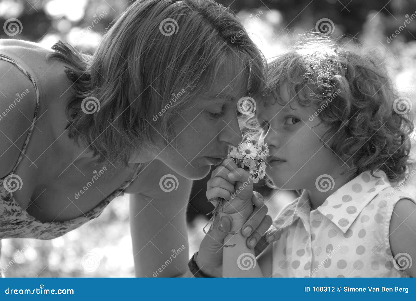Het Ruiken Van De Madeliefjes Stock Foto - Image of personen, warmte ...