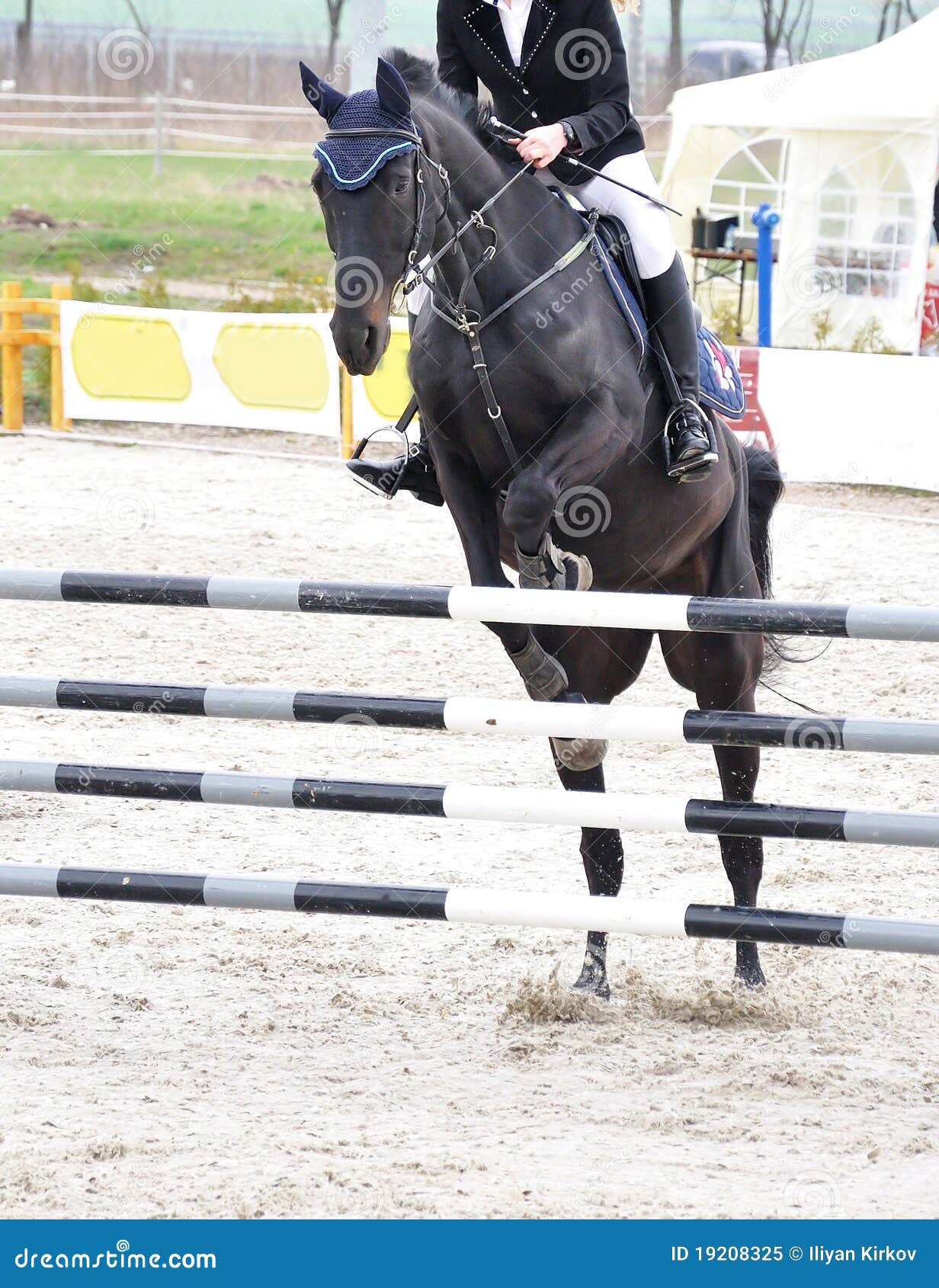 Het Ruiter Springen Op Zwart Paard Stock Afbeelding - Image of ...