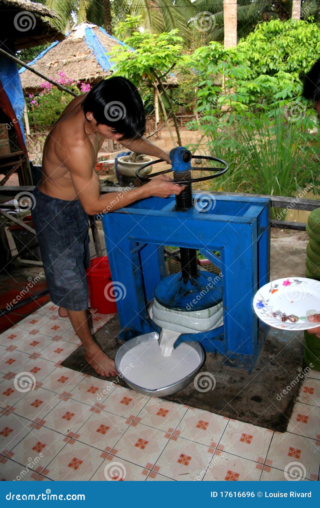 Het sap van de kokosnoot redactionele foto. Image of pers - 17616696