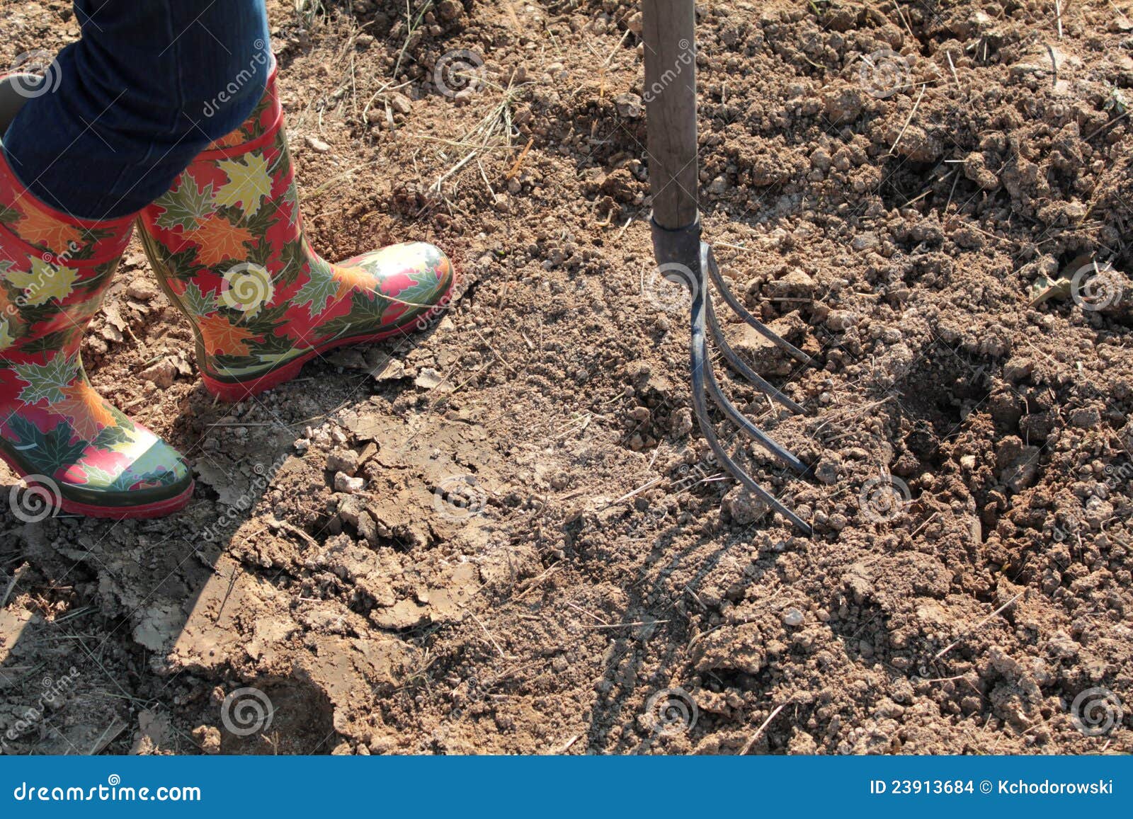 Het scheppen in de tuin stock foto. Image of tuinieren - 23913684