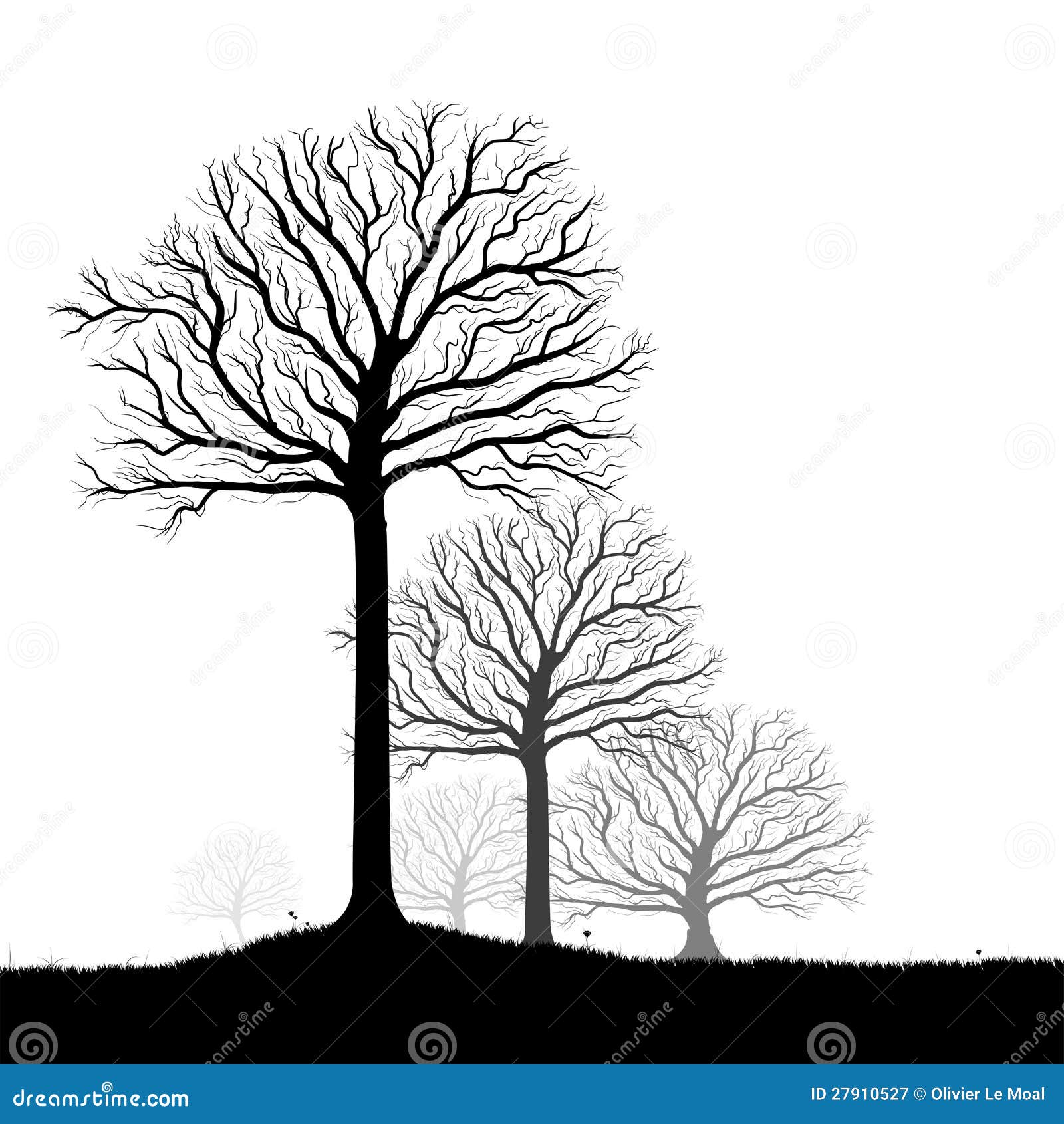 Het Silhouet Van Bomen, Zwarte Witte Vector Vector Illustratie ...