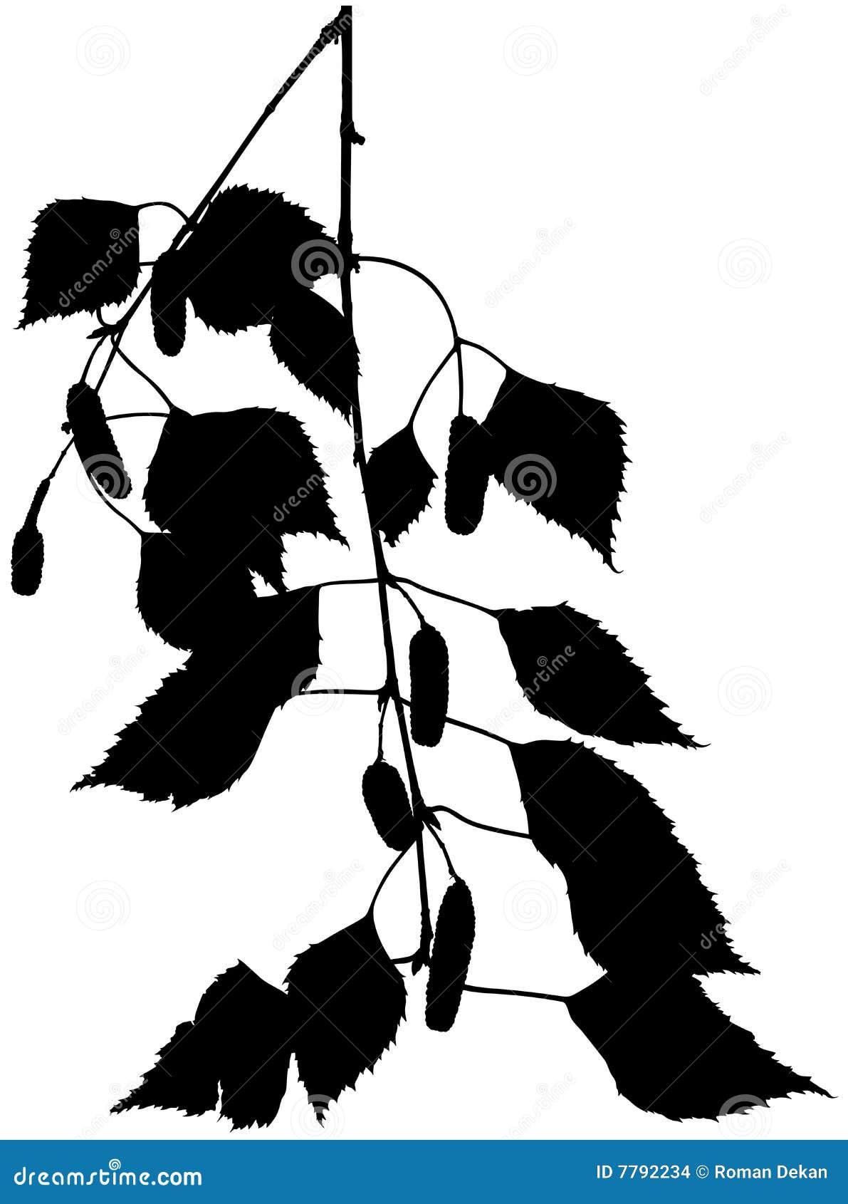 Het Silhouet Van De Tak Van De Berk Vector Illustratie - Illustration ...