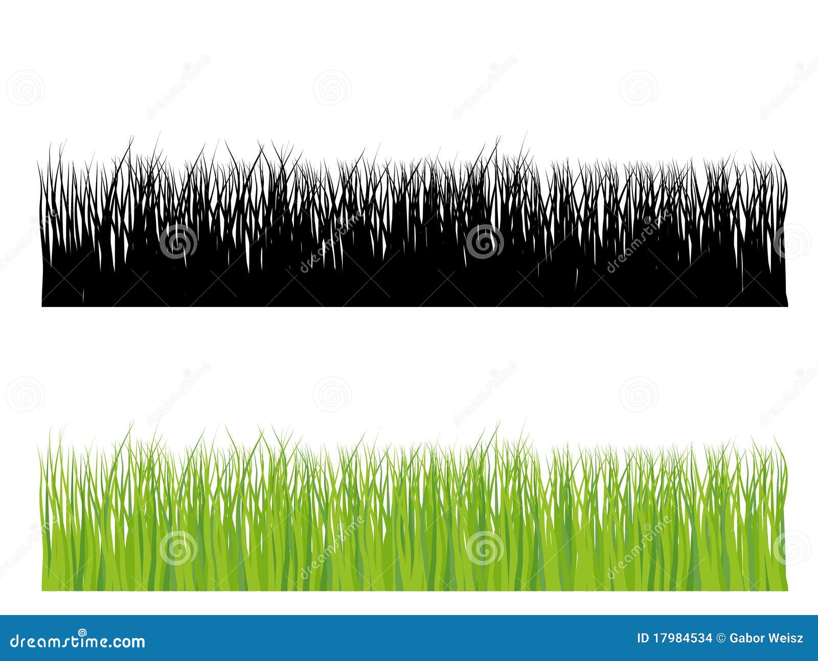 Het Silhouet Van Het Gras in Kleur En Zwarte Vector Illustratie ...