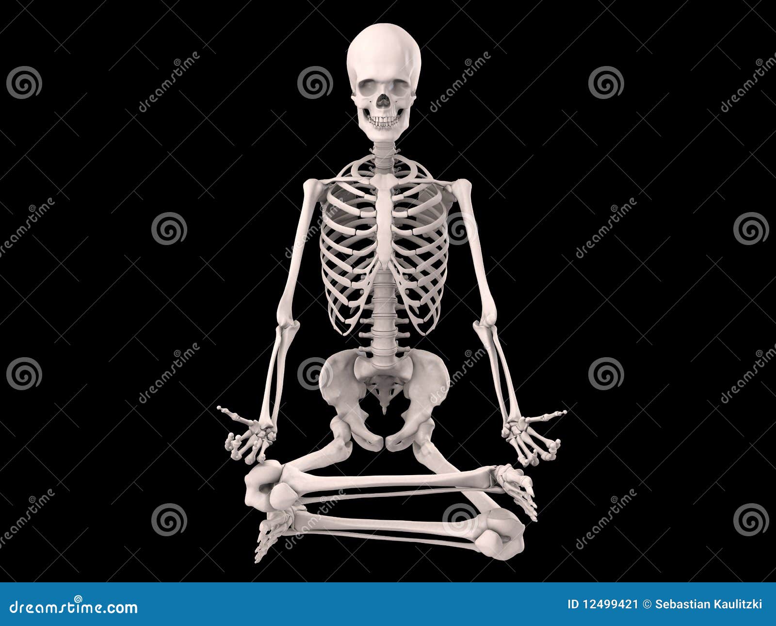 Het skelet van de zitting stock illustratie. Illustration of zetel ...